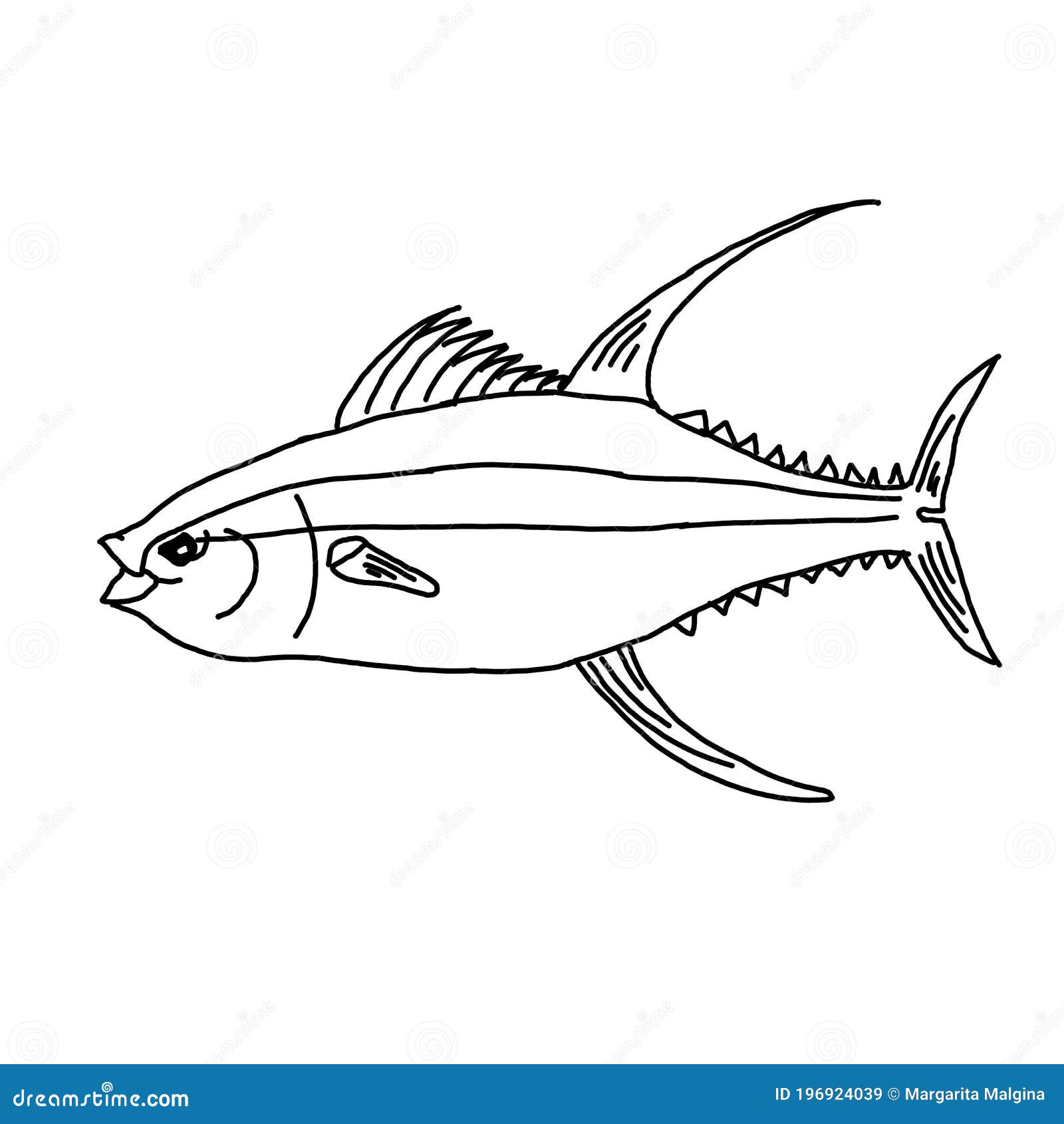 Tuna Carcass. Line Art on a White Background Stock Illustration ...