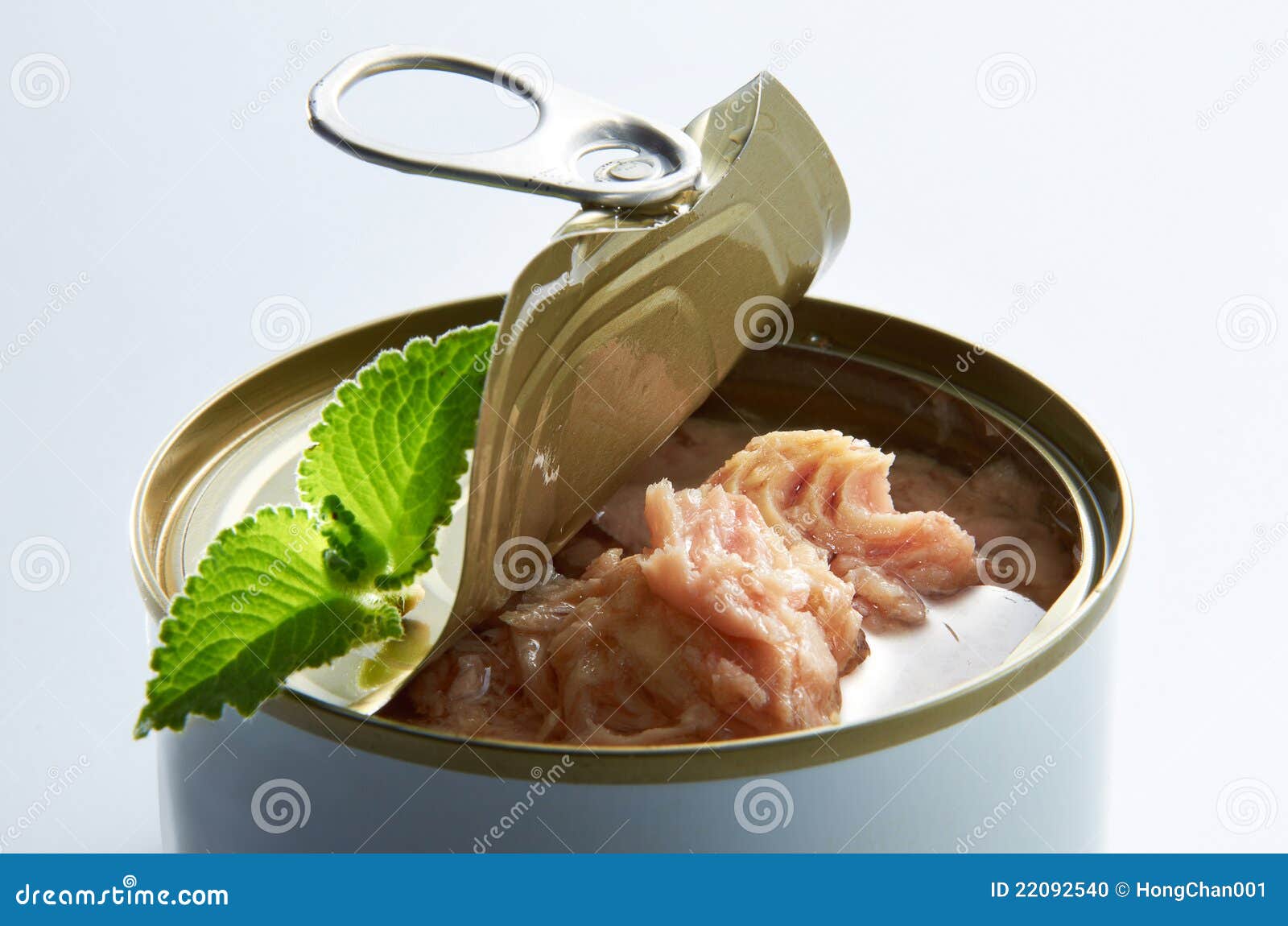 Tuna Chunk stock photo. Image of food, prepare, sandwich - 22092540