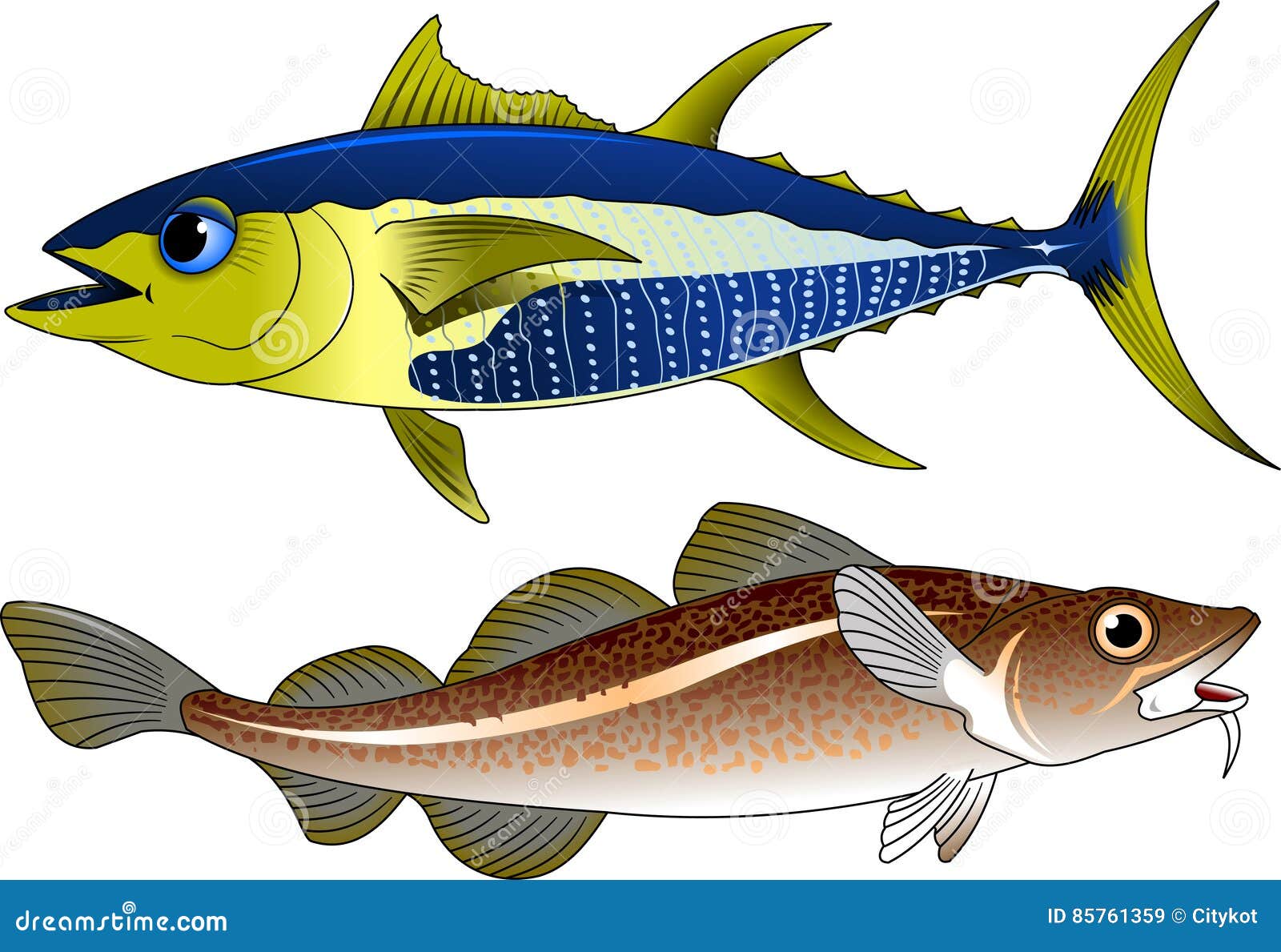 Codfish Cartoons, Illustrations & Vector Stock Images - 546 Pictures to ...