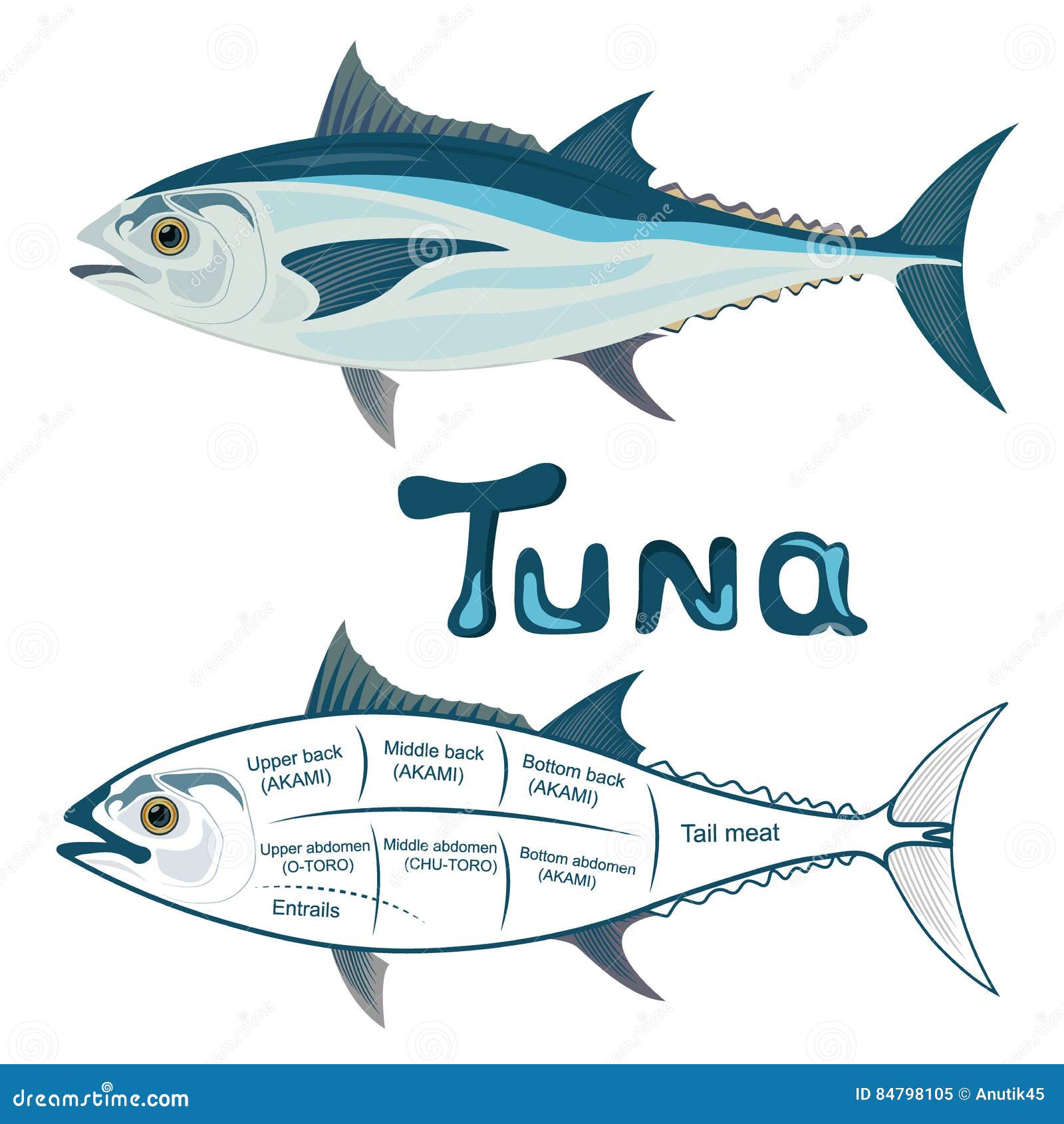 Tuna, Cuts, Vector Illustration Stock Vector - Illustration of cooking ...