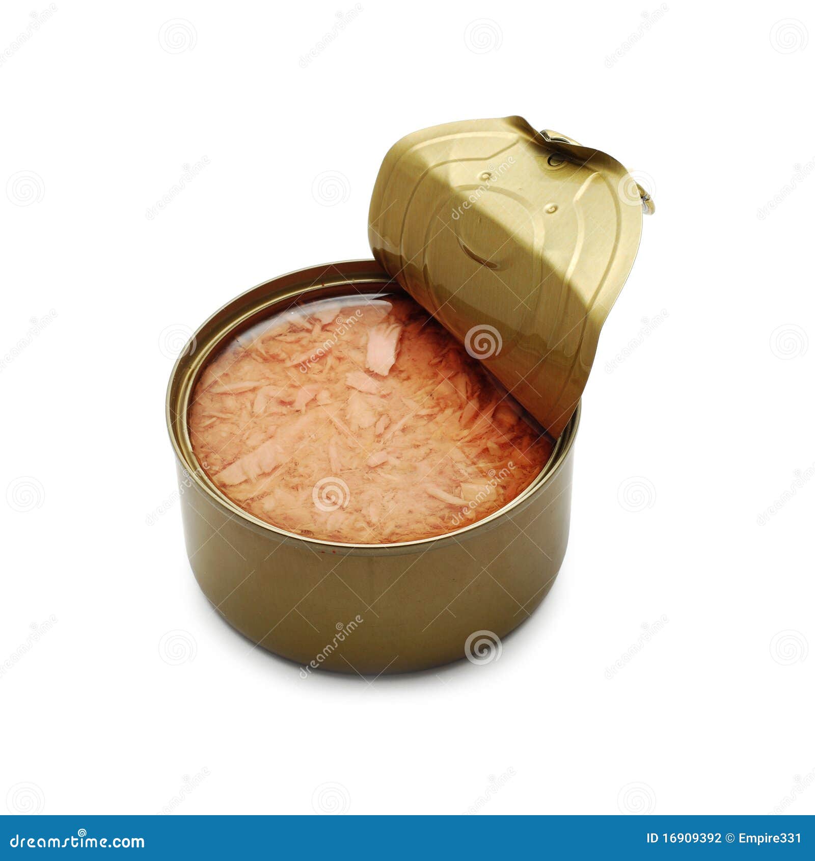Tuna fish stock photo. Image of opened, spicy, canned - 16909392