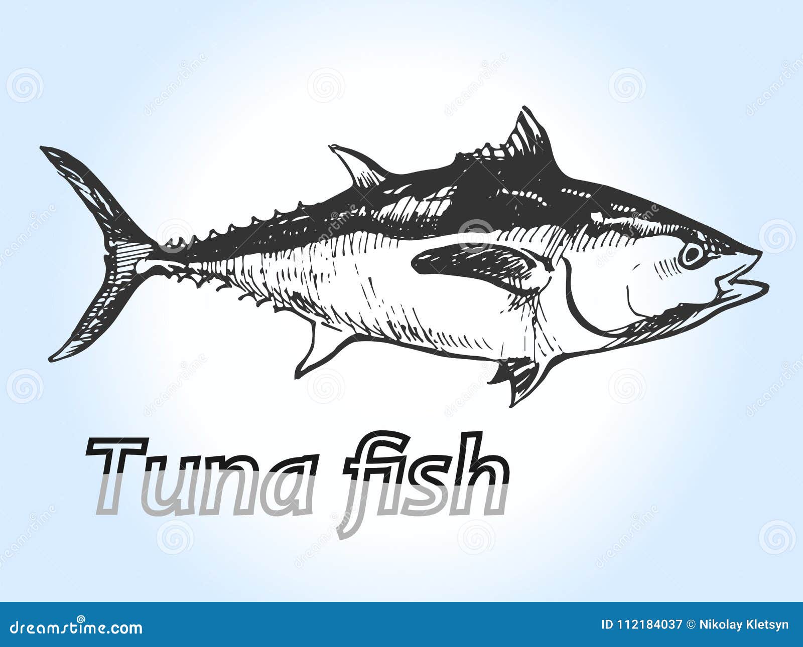 Tuna fish engraving stock illustration. Illustration of element - 112184037