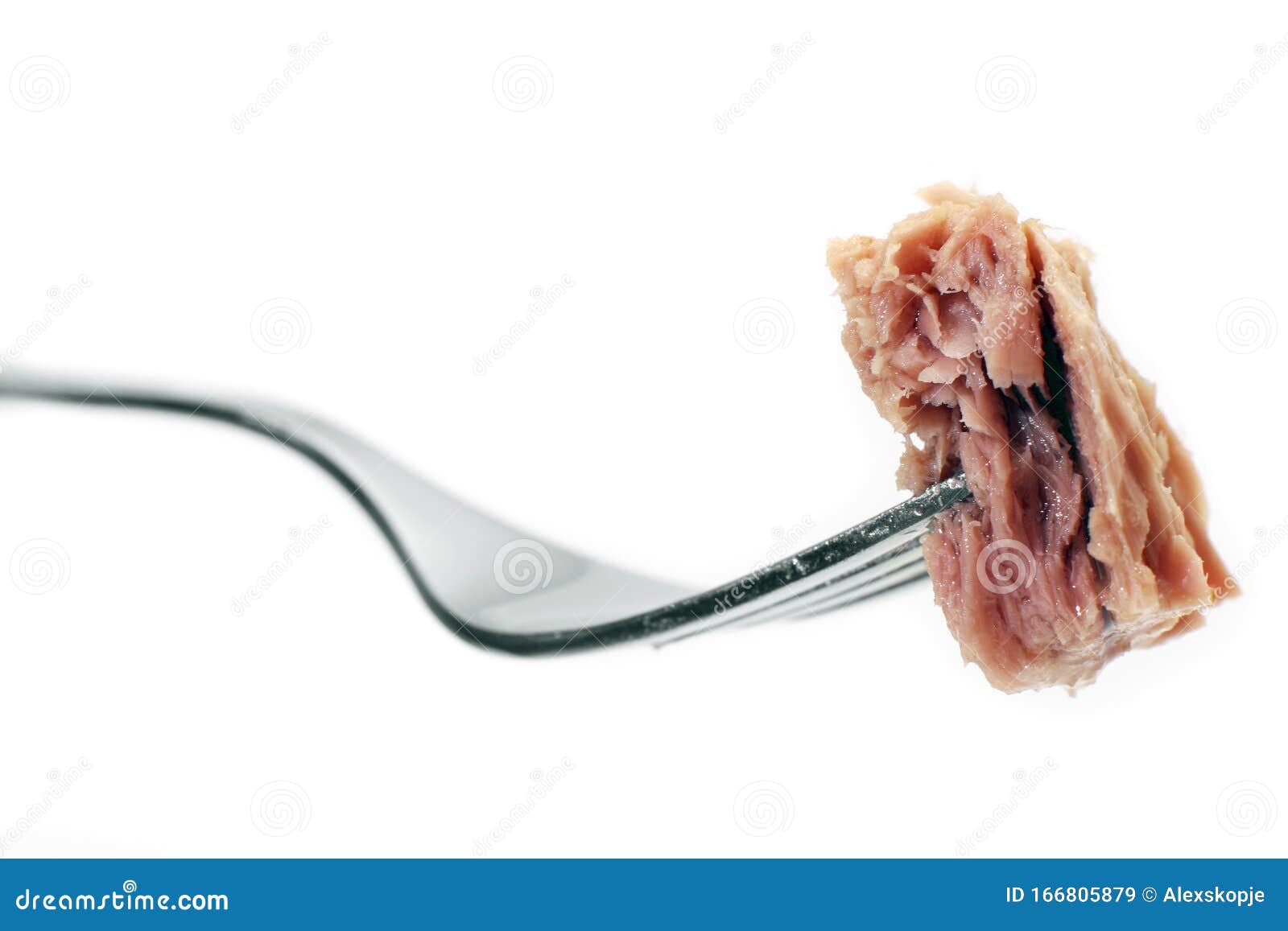 Tuna fish on fork stock image. Image of close, nutrition - 166805879