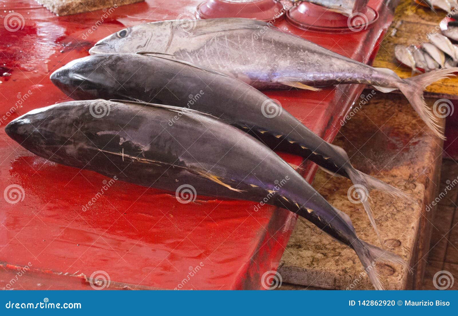 Tuna Fish at Market in Indonesia Stock Photo - Image of organic ...