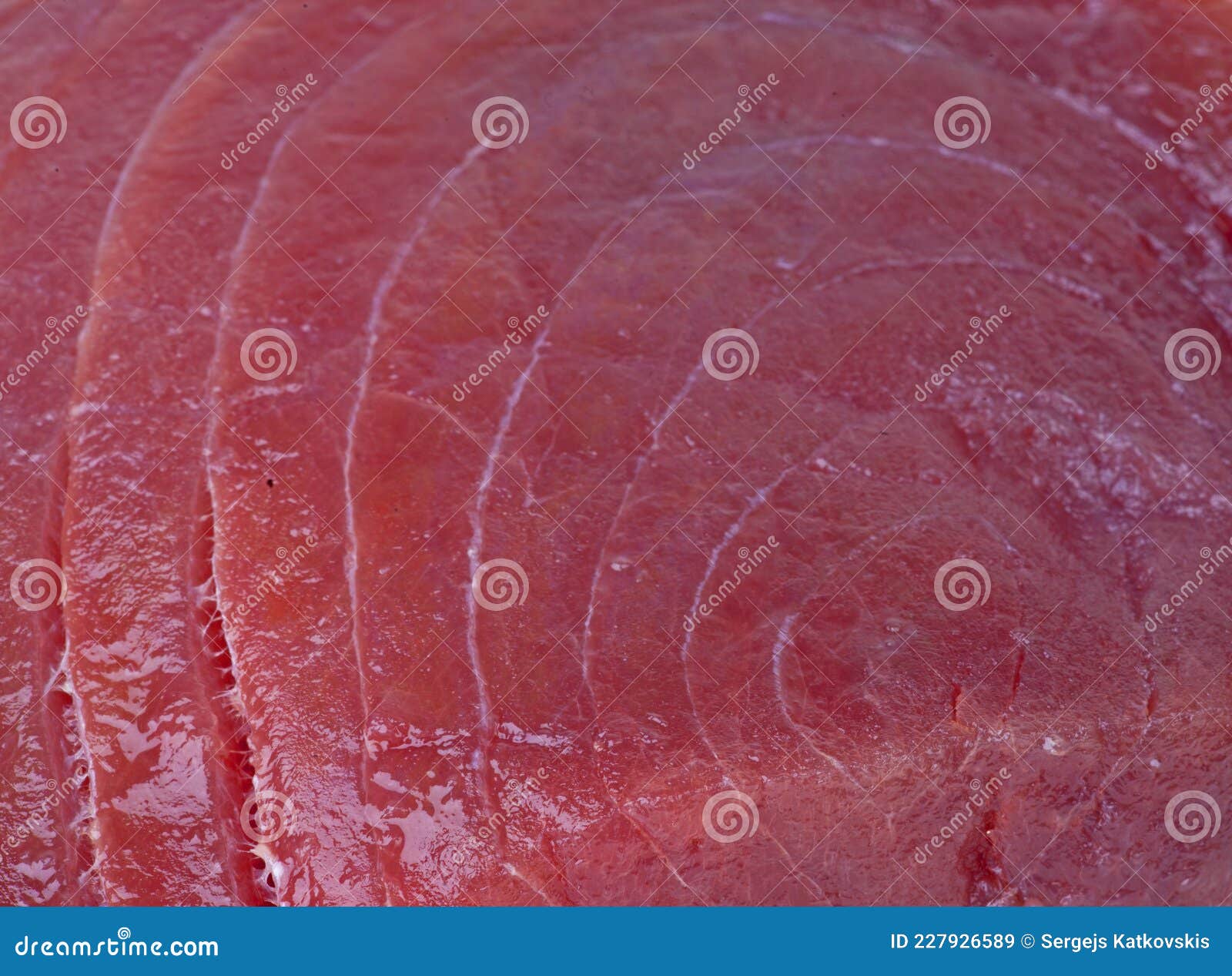 Tuna Fish Meat on the Table Stock Image - Image of meat, color: 227926589