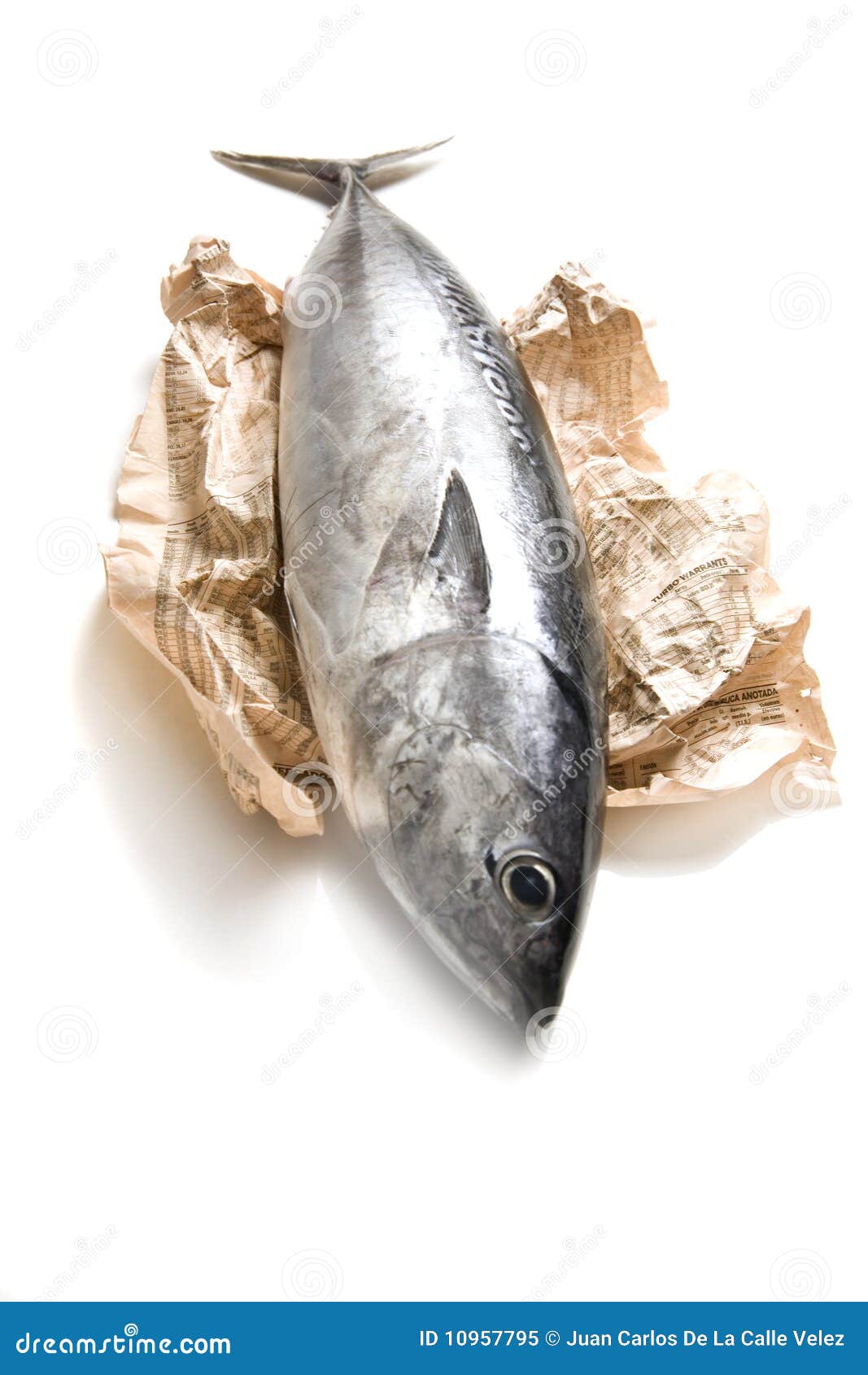 Tuna fish and newspaper stock image. Image of paper, tuna - 10957795
