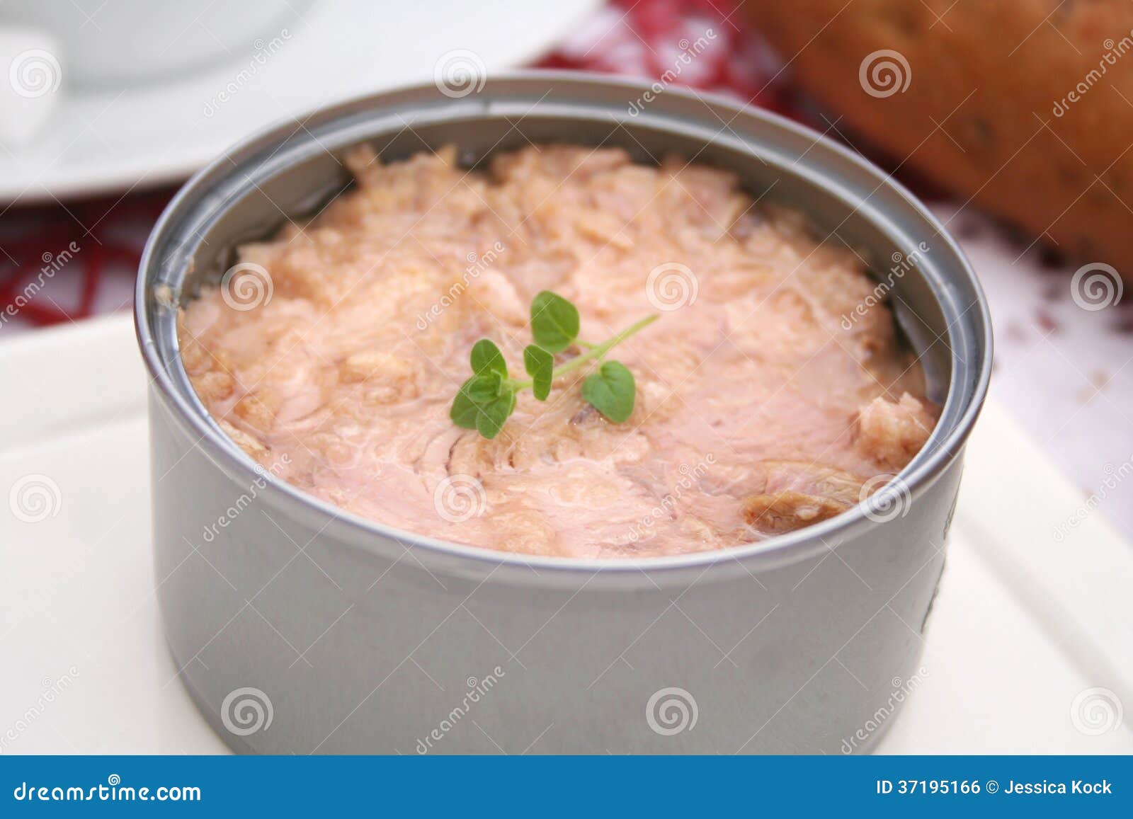 Tuna fish in a tin stock photo. Image of tuna, tunafish - 37195166
