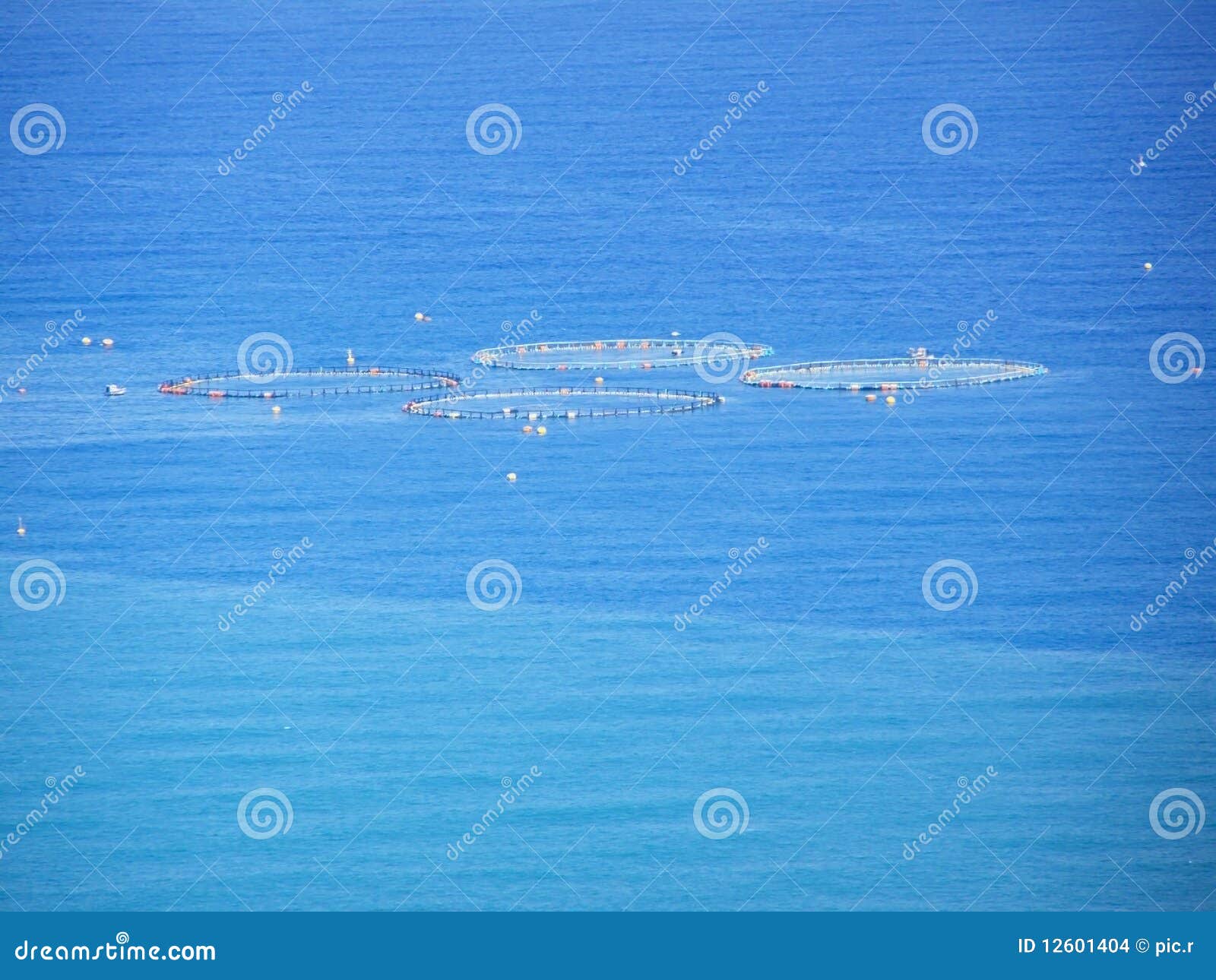 Tuna fishing, nets in sea stock photo. Image of water - 12601404