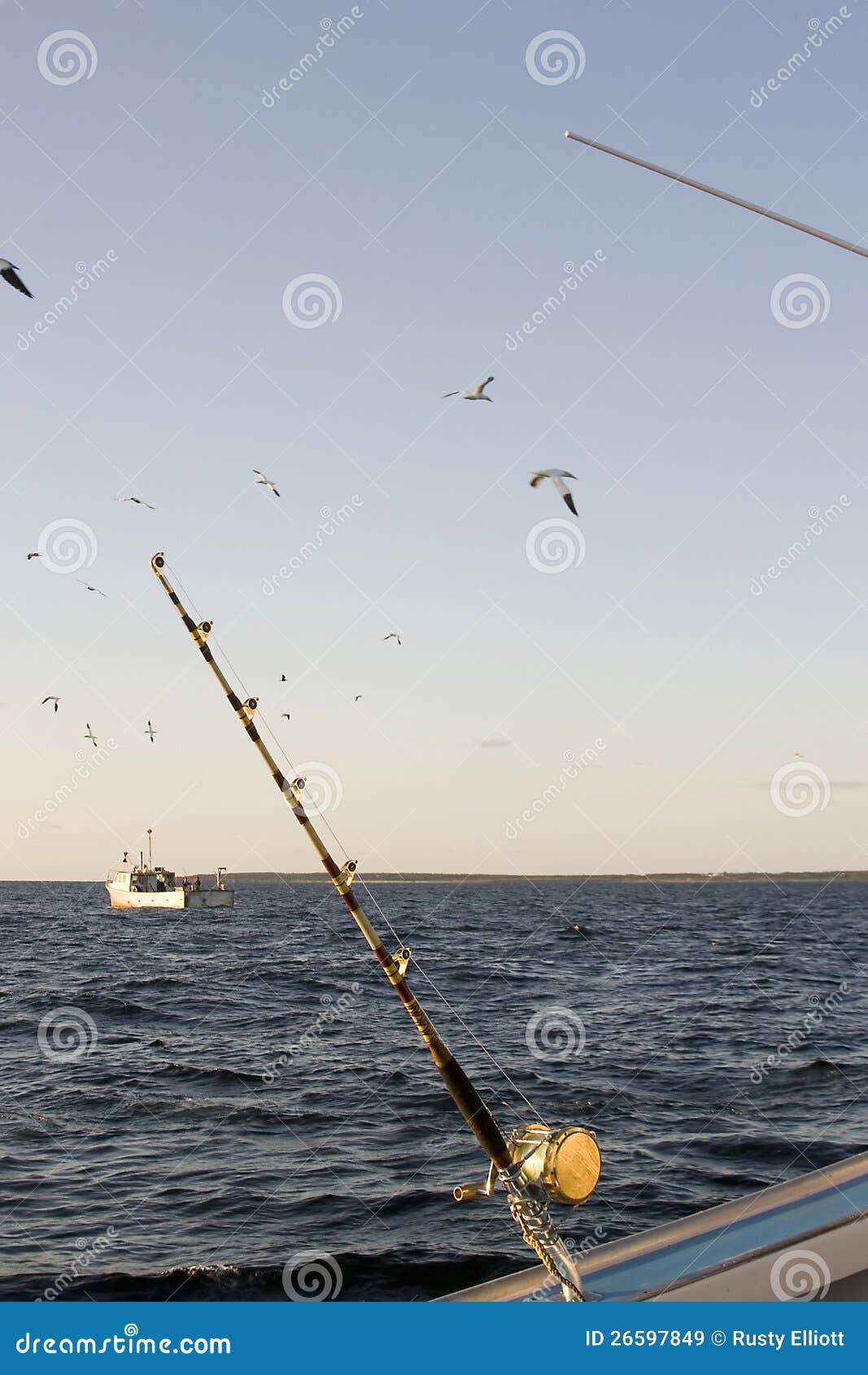 Tuna fishing rod stock image. Image of water, reel, fishing - 26597849
