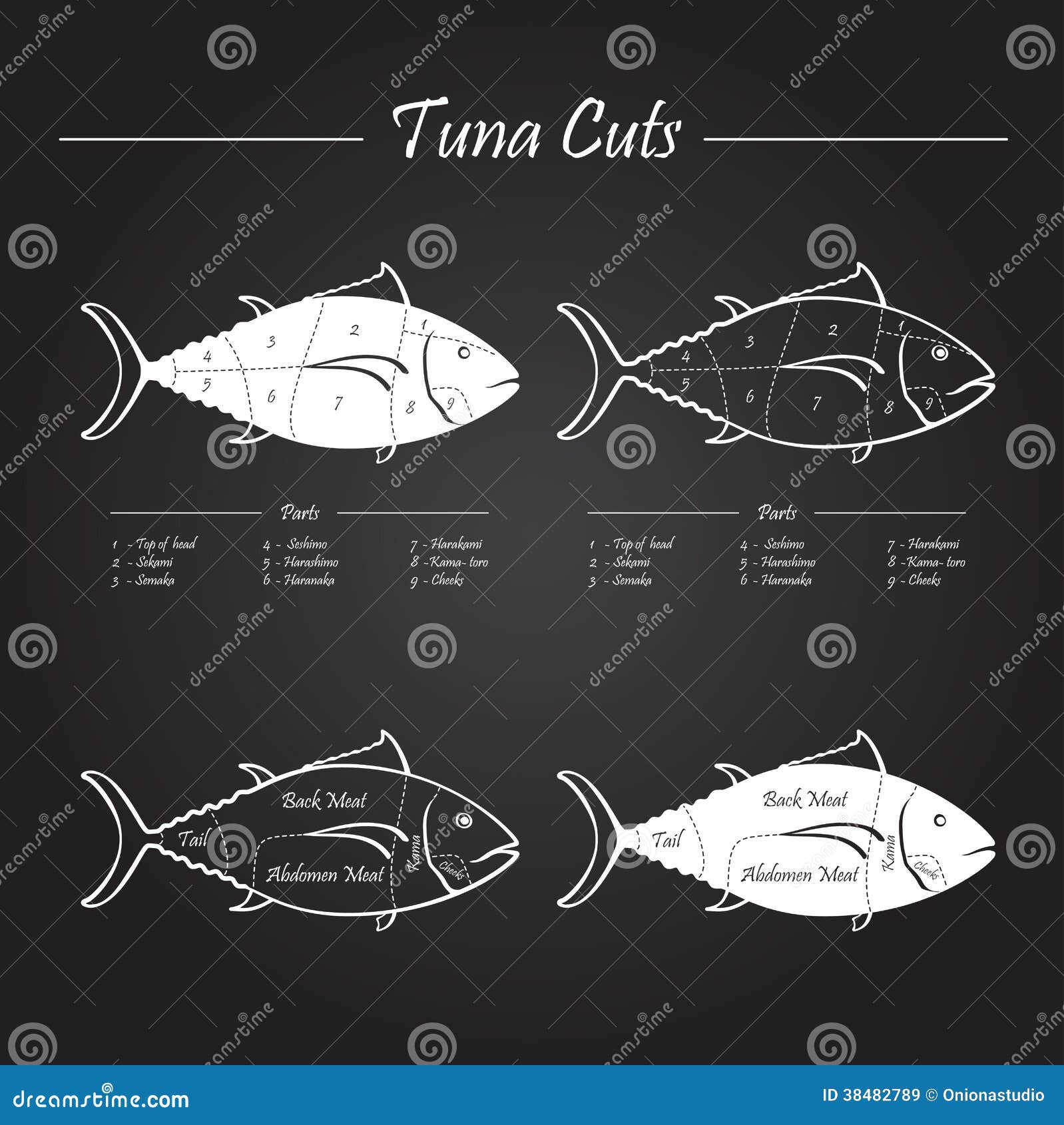 Tuna meat cuts scheme stock vector. Illustration of fish - 38482789