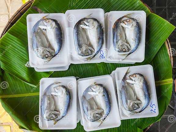 Tuna package stock photo. Image of mackerel, blue, ocean - 68636382