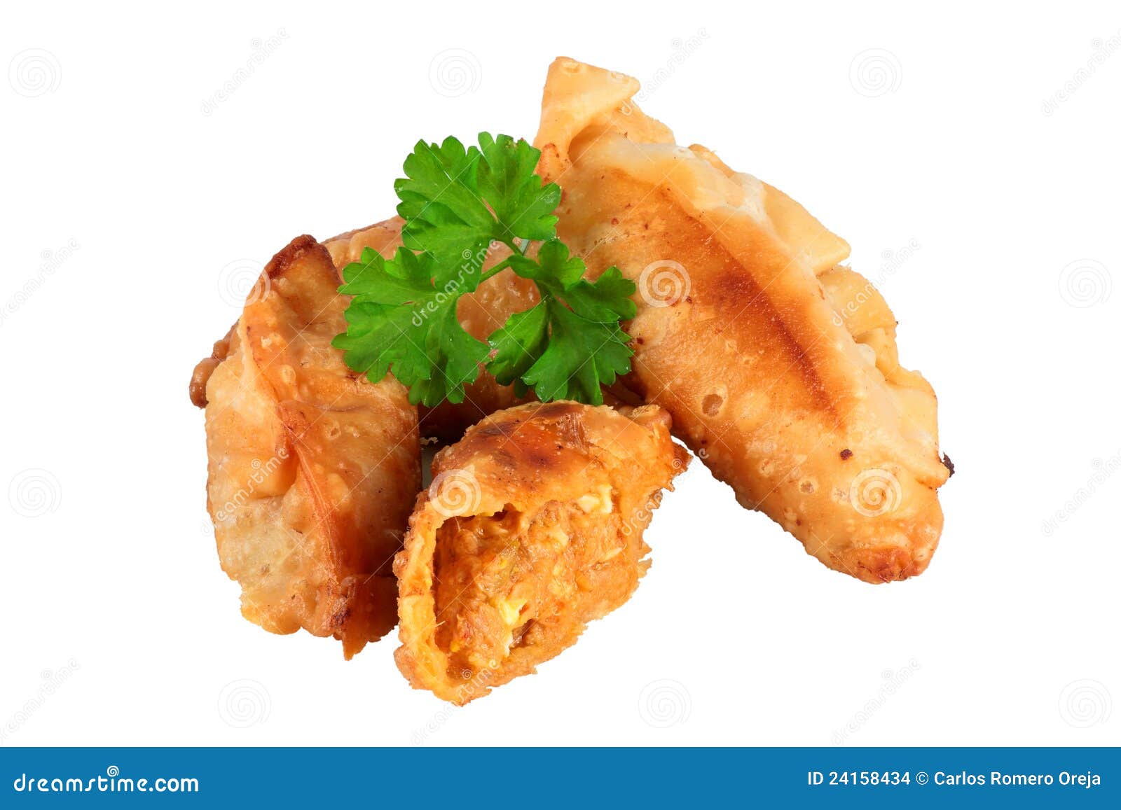 Tuna patties stock photo. Image of isolated, bluefin - 24158434