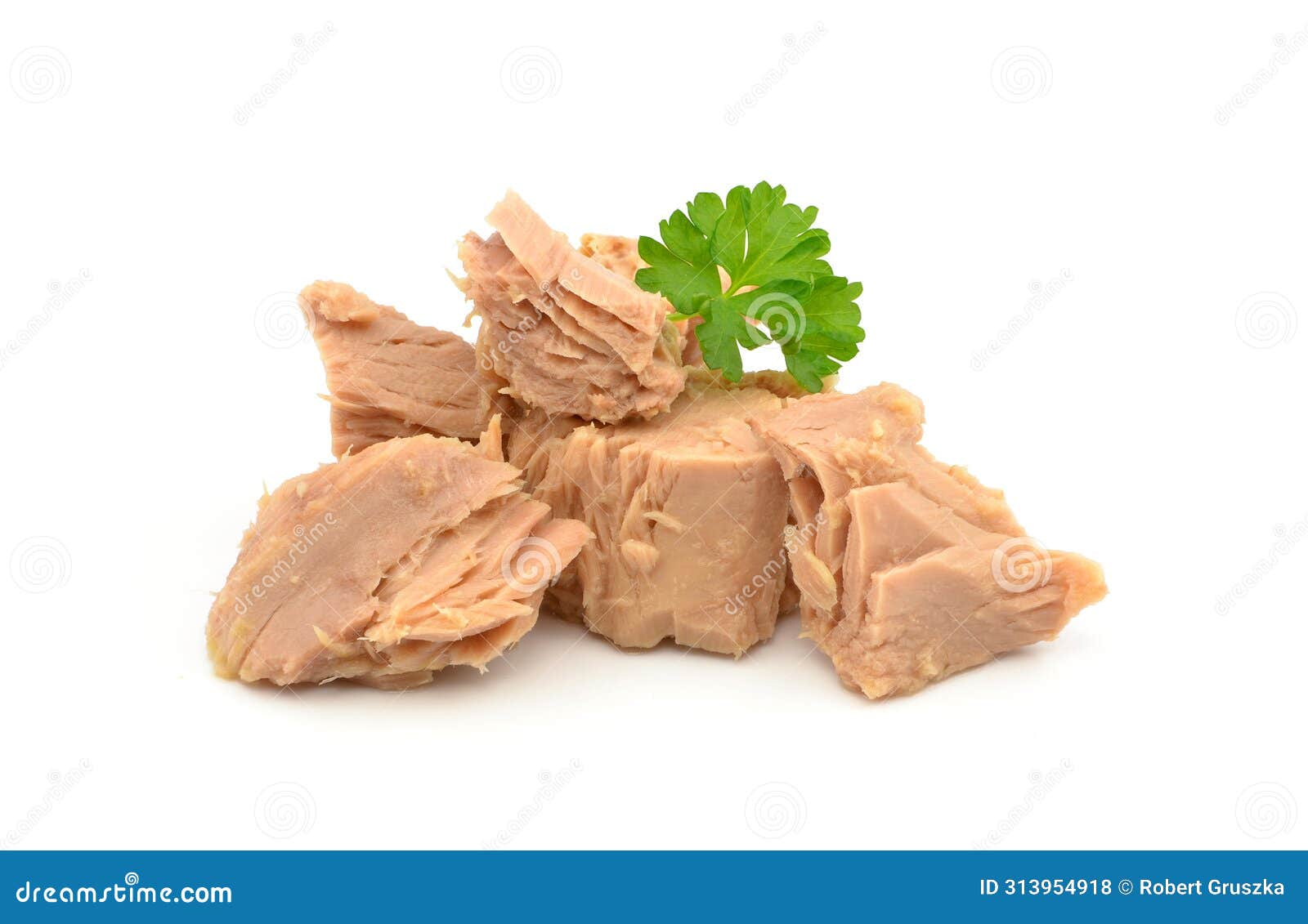 Tuna pieces stock photo. Image of isolated, meat, tuna - 313954918