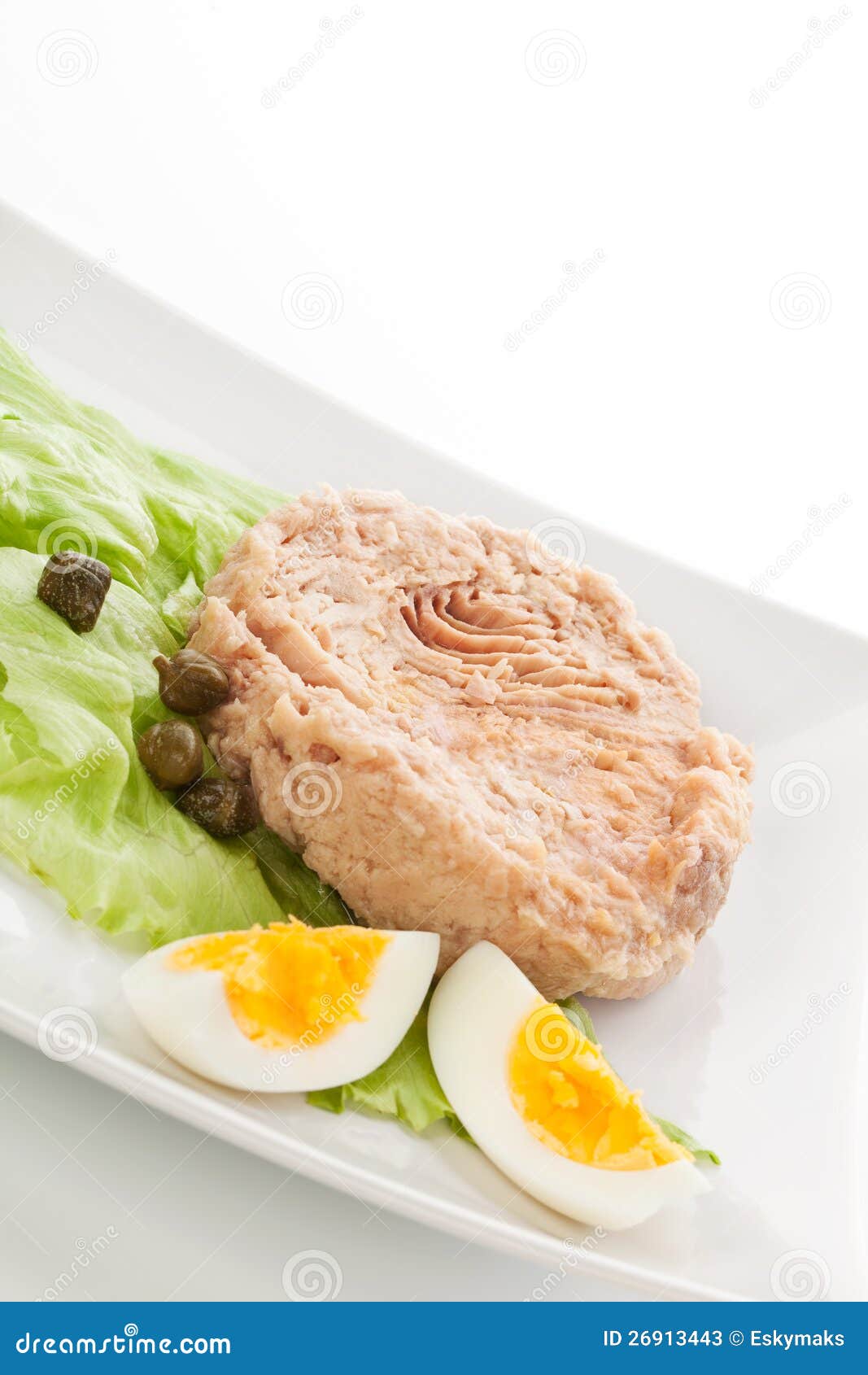 Tuna plate. stock image. Image of bright, dieting, macro - 26913443