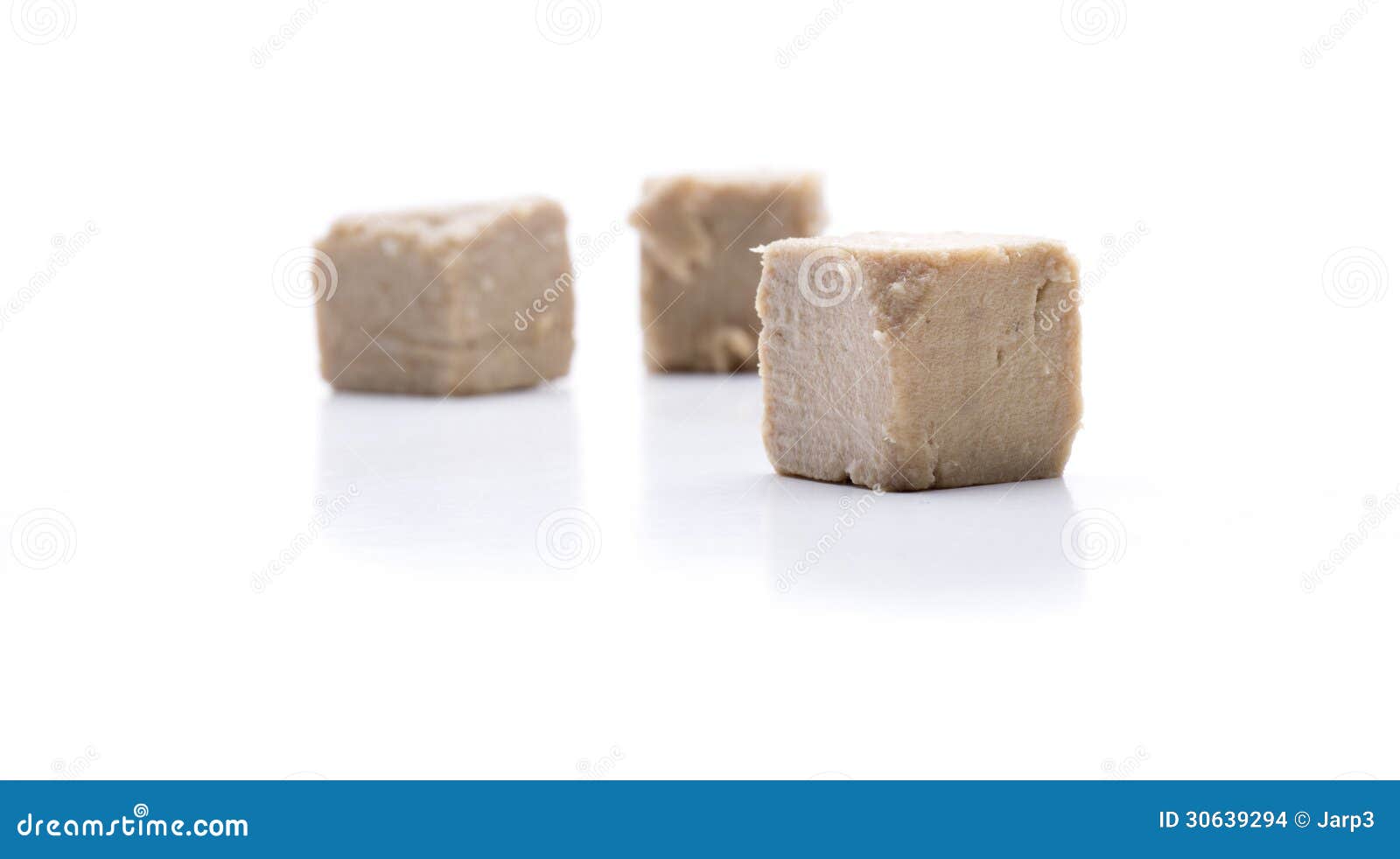 Tuna quadrate stock photo. Image of fish, nature, tuna - 30639294