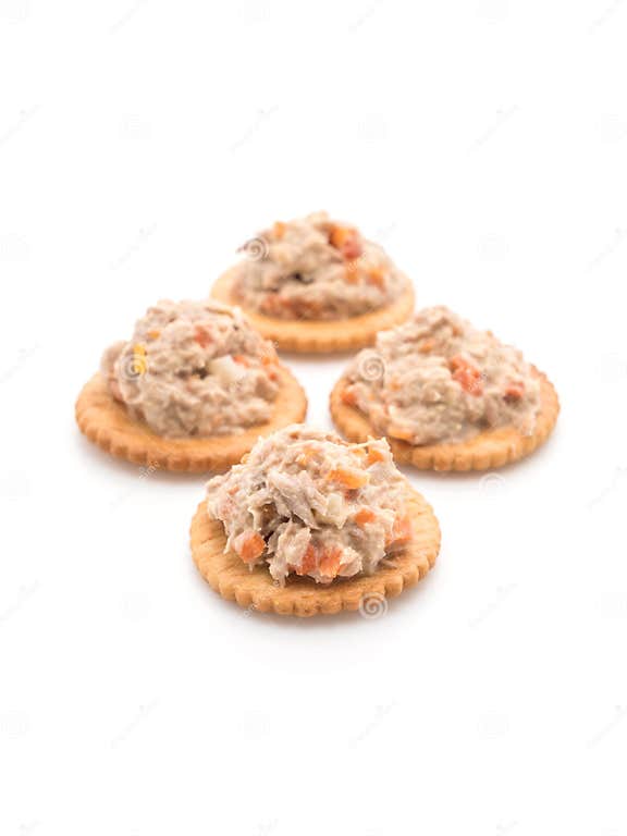 Tuna salad with cracker stock image. Image of food, spread - 94007207