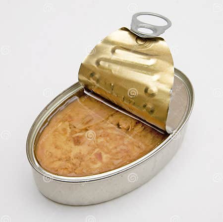 Tuna in a tin stock photo. Image of protein, canned, meat - 21189818