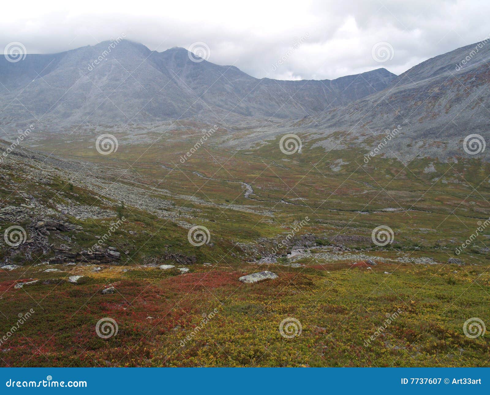 Tundra stock image. Image of valley, subarctic, grass - 7737607