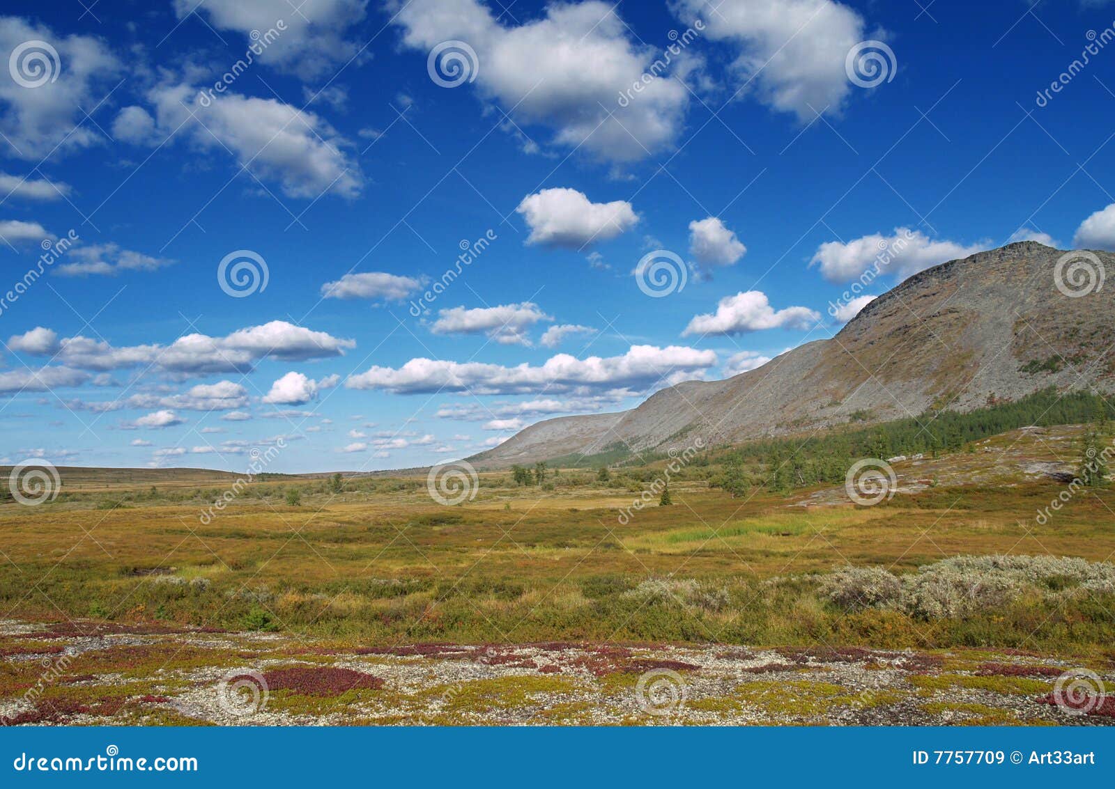 Tundra stock image. Image of ridge, forest, wilderness - 7757709