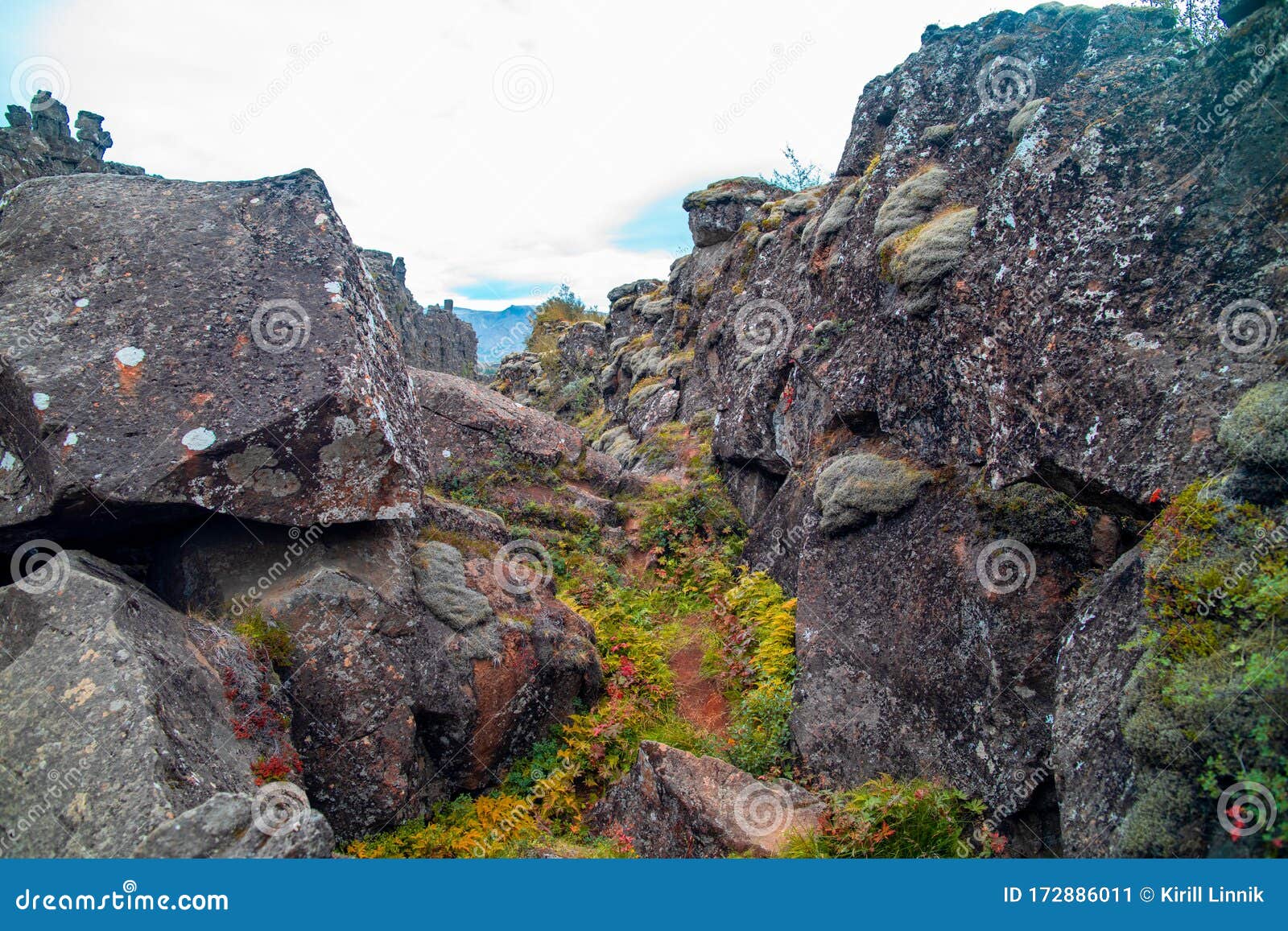 Tundra greenery stock image. Image of icelandic, moss - 172886011