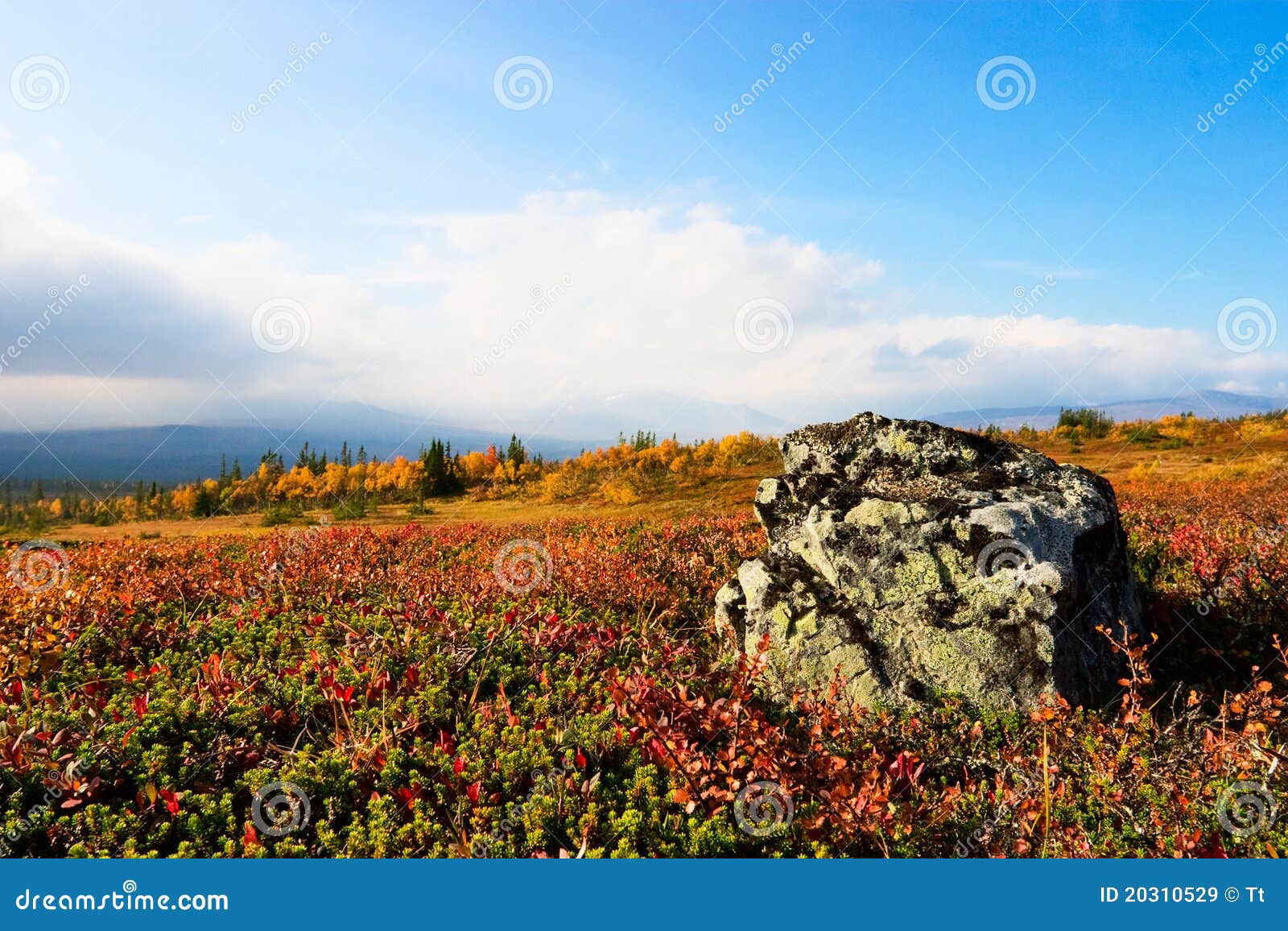 Tundra landscape stock image. Image of stone, wilderness - 20310529