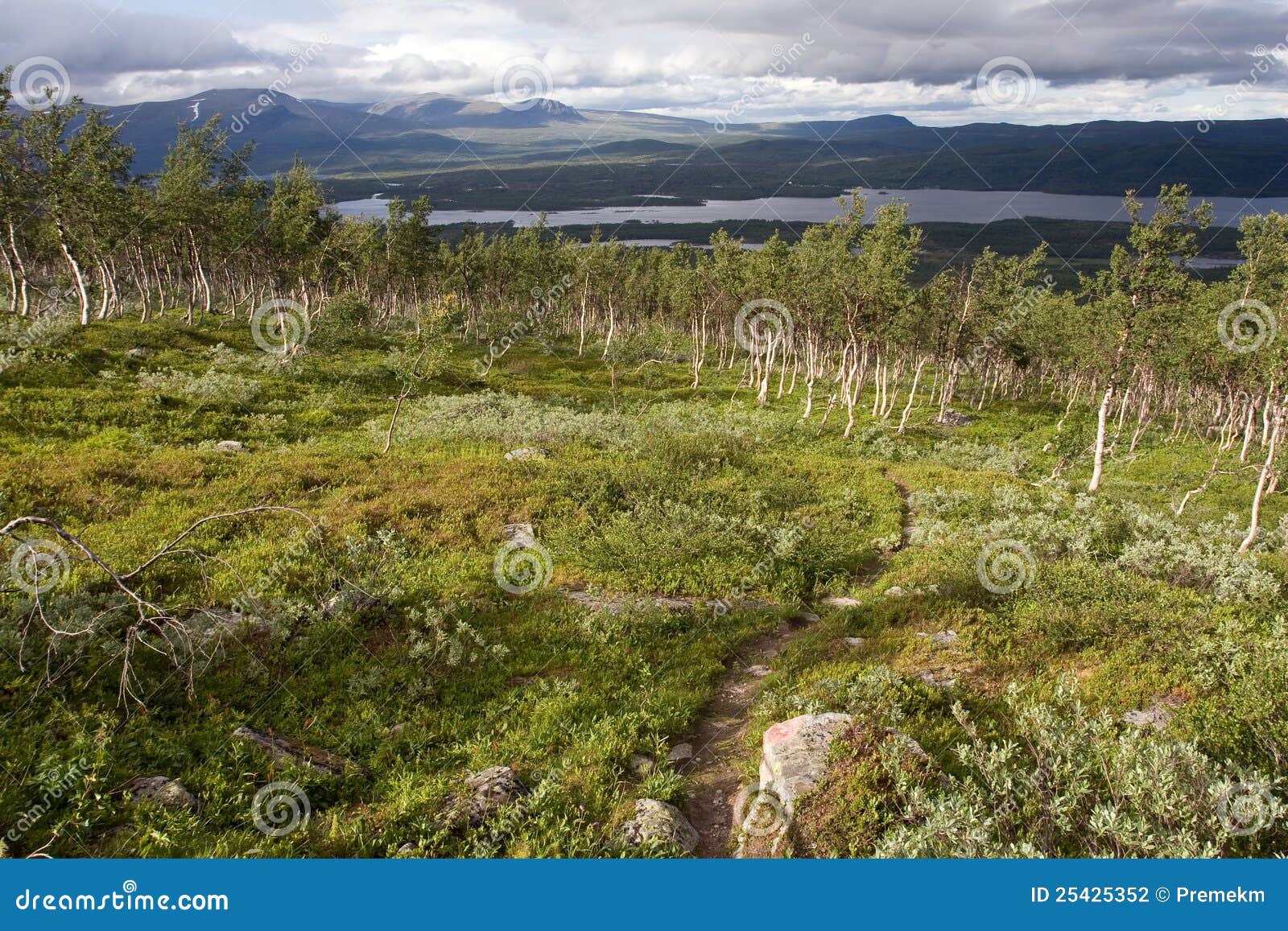 Tundra Landscape stock photo. Image of landscape, touristic - 25425352