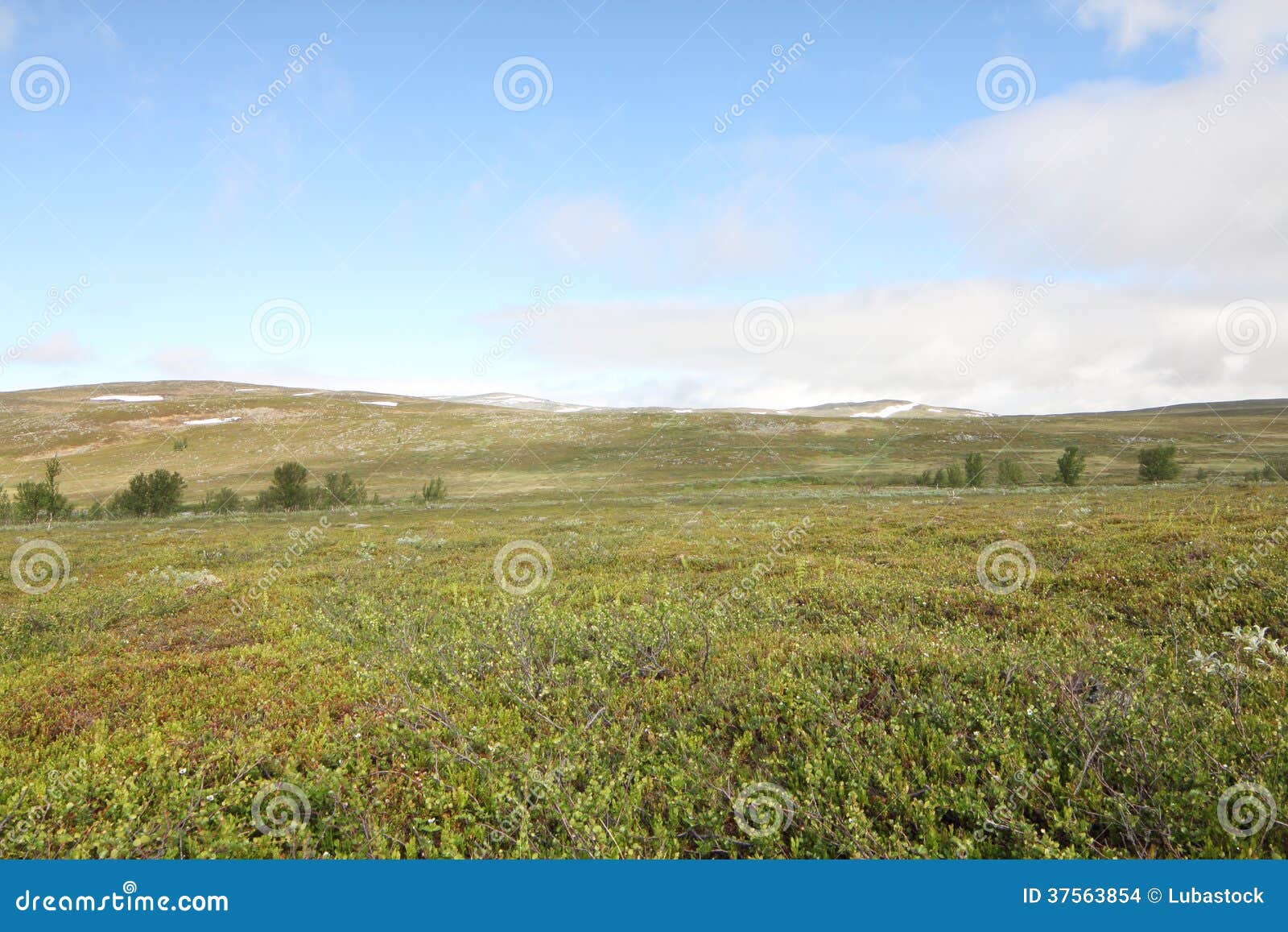 Tundra Landscape stock photo. Image of grass, land, panorama - 37563854