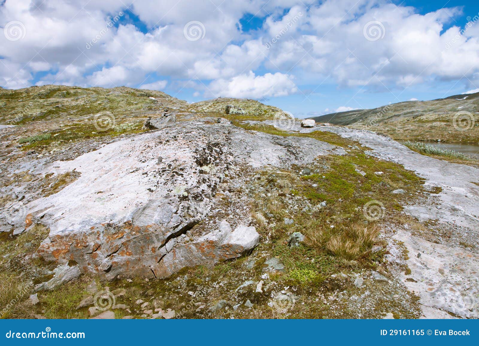 Tundra landscape in Norway stock image. Image of grass - 29161165