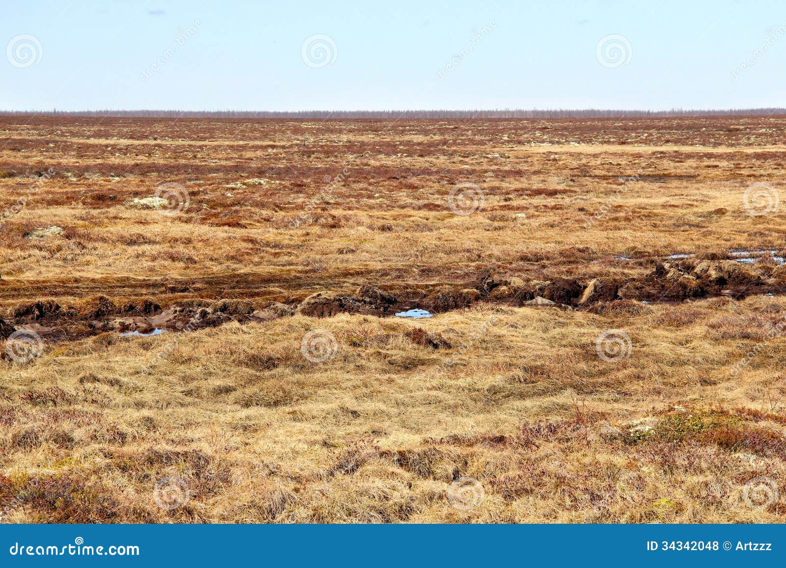 Tundra stock photo. Image of northern, puddle, lifeless - 34342048