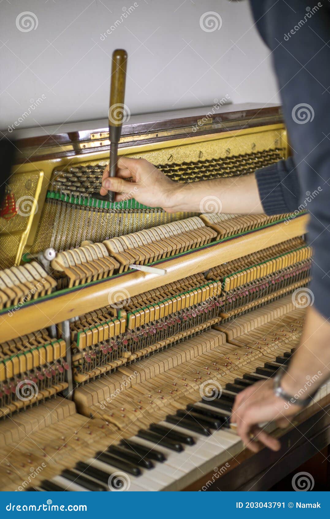 Technician Musician Tuning an Upright Piano Using Lever and Tools ...