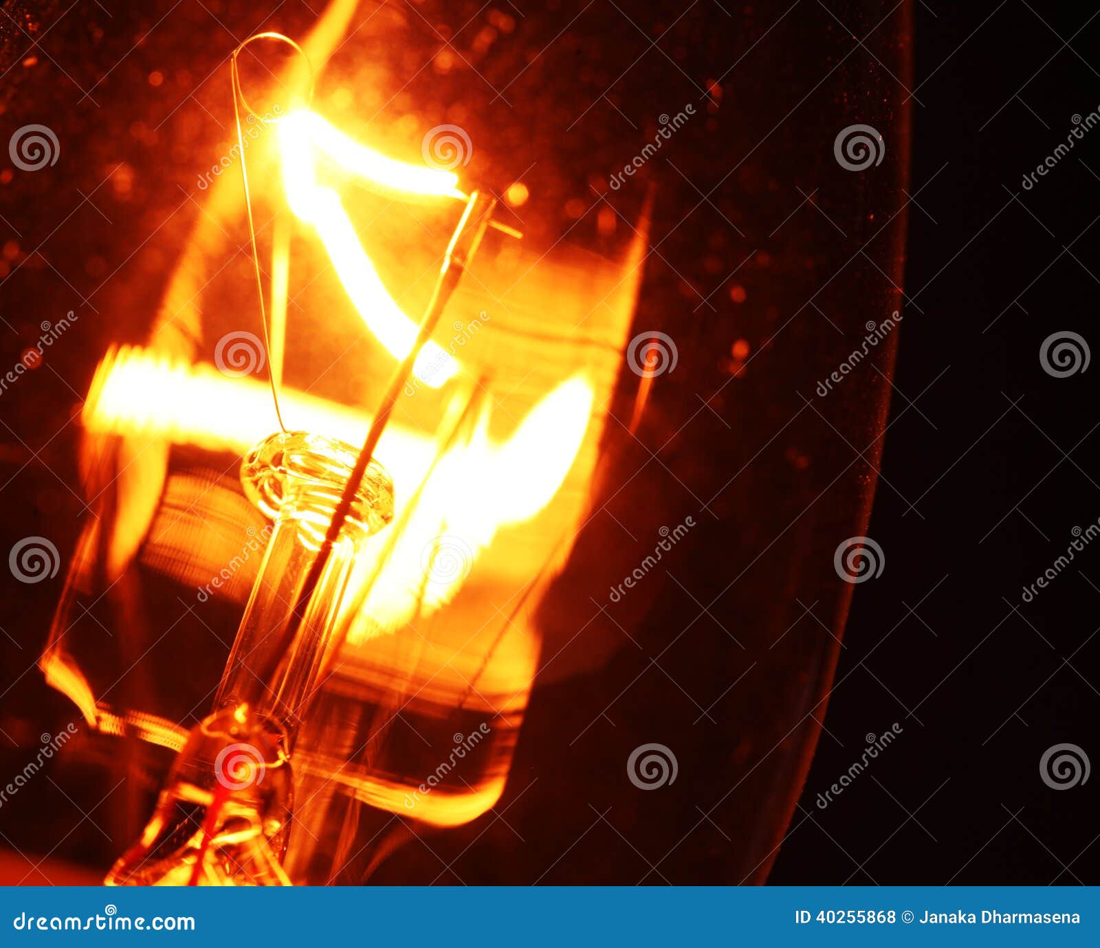 Tungsten Bulb stock photo. Image of lamp, efficient, color - 40255868