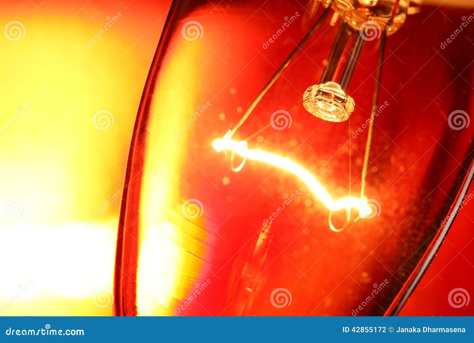 Tungsten Bulb stock photo. Image of bulb, business, filament - 42855172