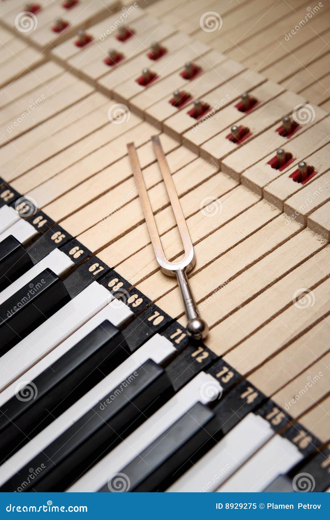 Tuning Fork stock image. Image of pegs, hand, keyboard - 8929275