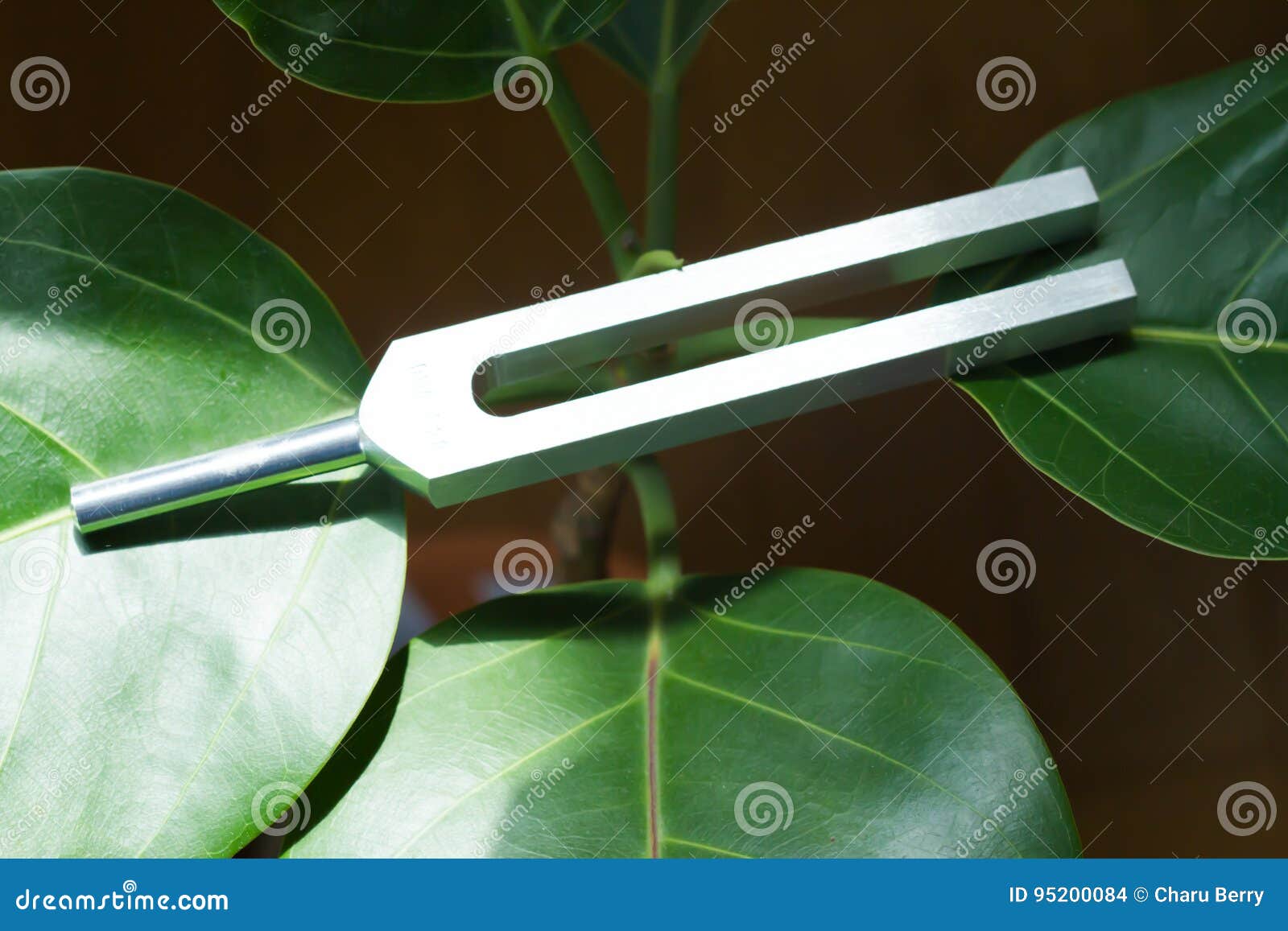 Tuning Fork On Sheet Music Royalty-Free Stock Photography ...