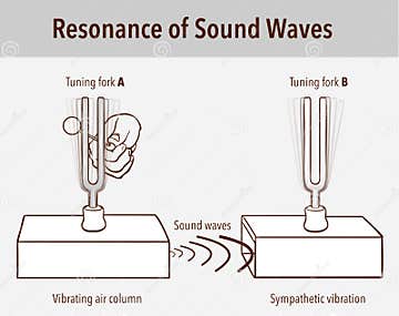 Tuning Fork Resonance Experiment. when One Tuning Fork is Struck, the ...