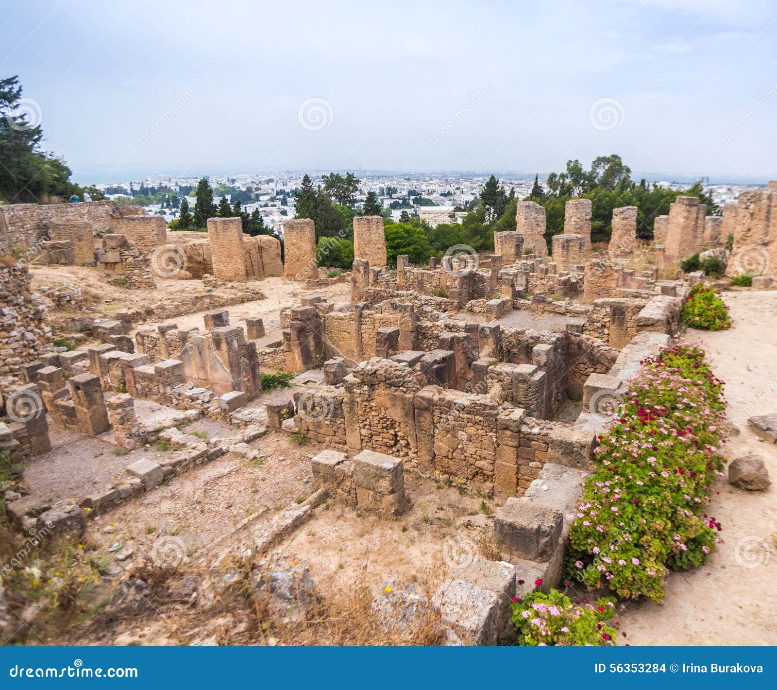 Tunisia. stock photo. Image of history, baths, archaeology - 56353284