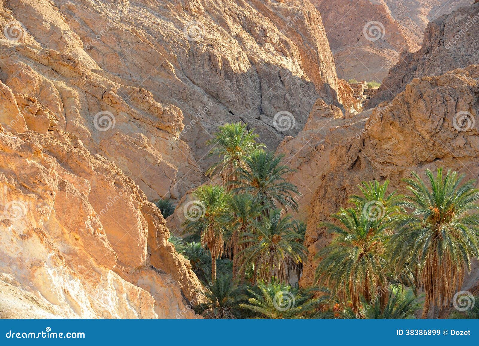 Tunisia- Oasis Chebika stock image. Image of rough, geology - 38386899