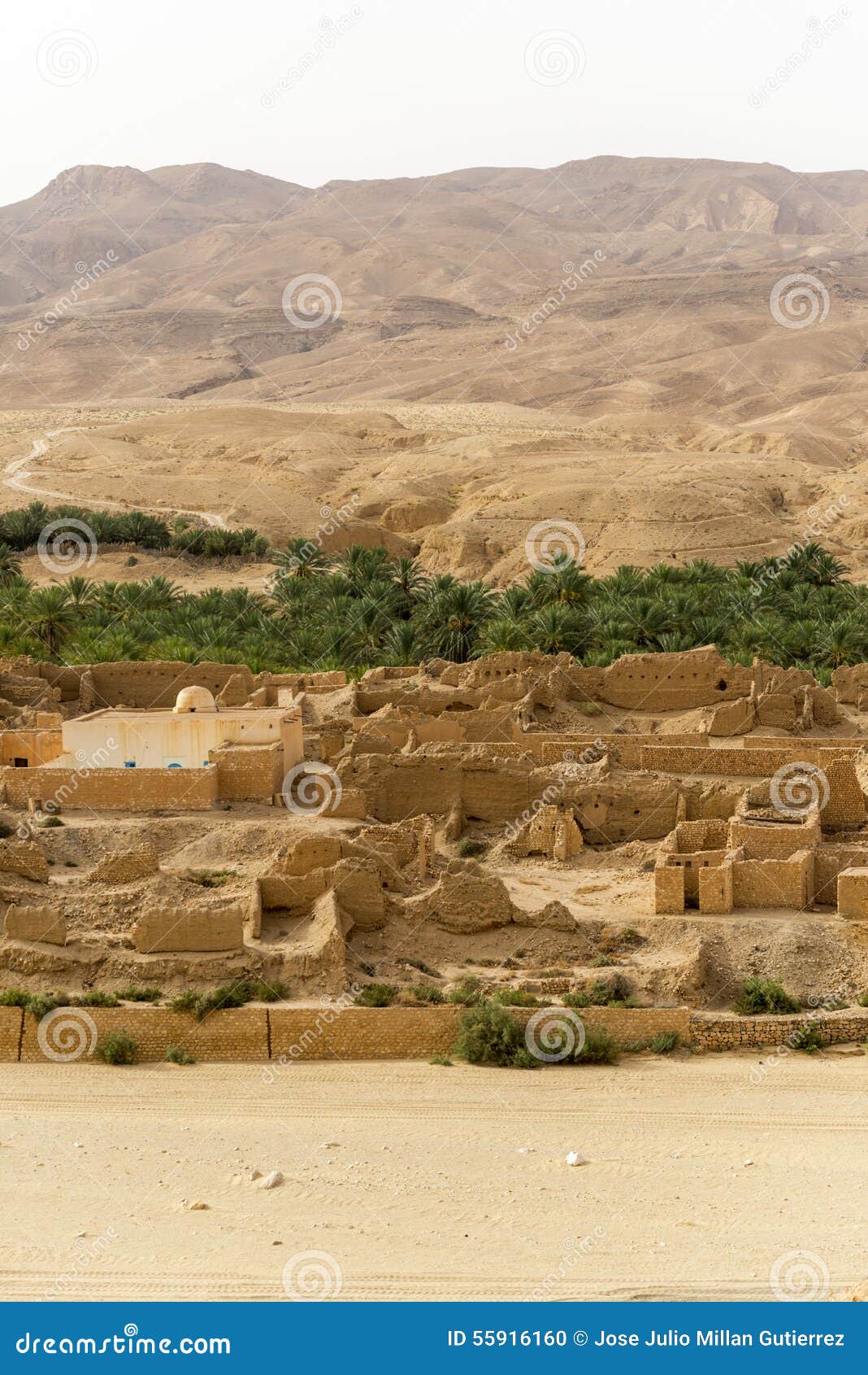 Tunisia Oasis stock photo. Image of heat, palms, shack - 55916160