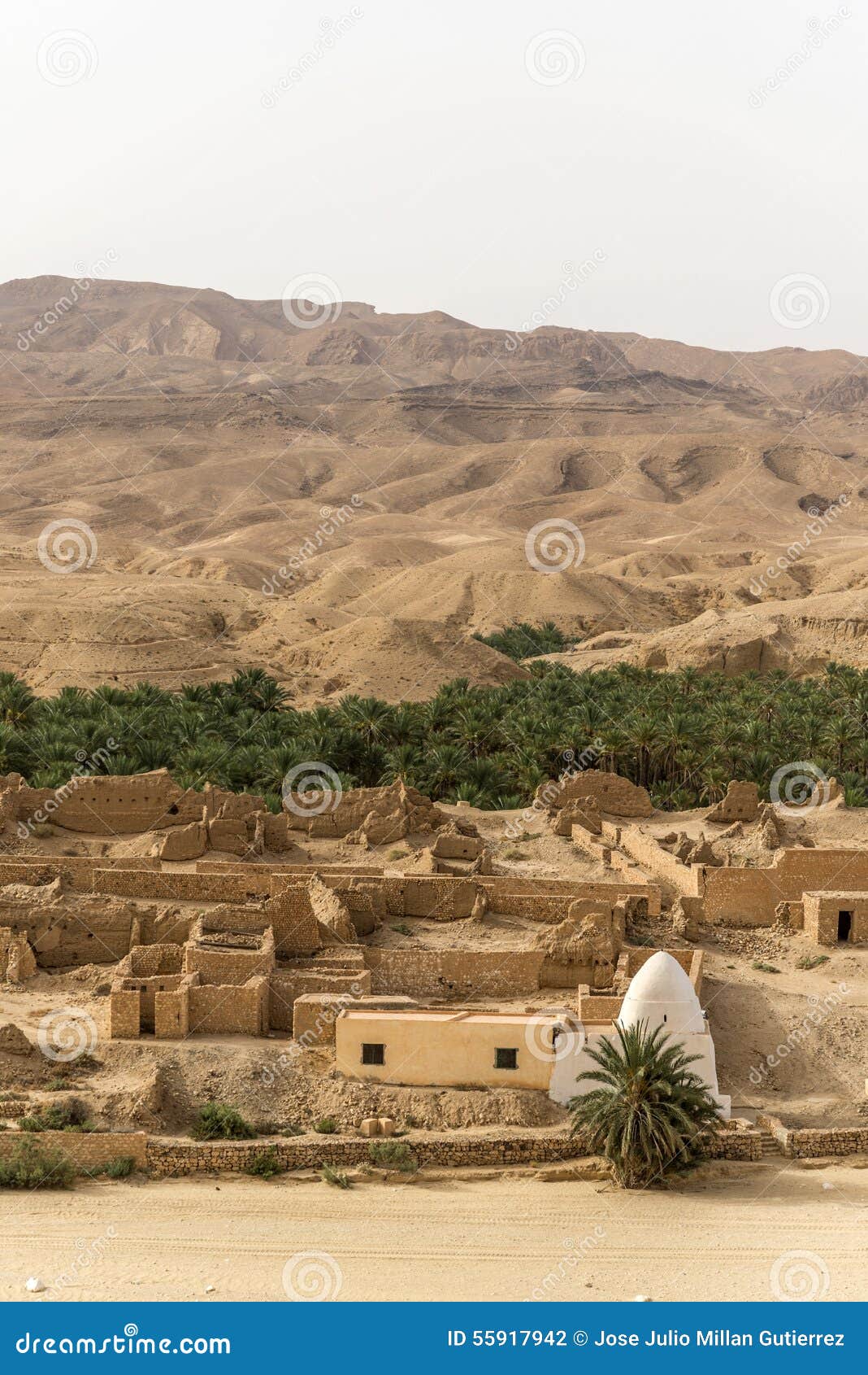Tunisia Oasis stock photo. Image of african, sunlight - 55917942