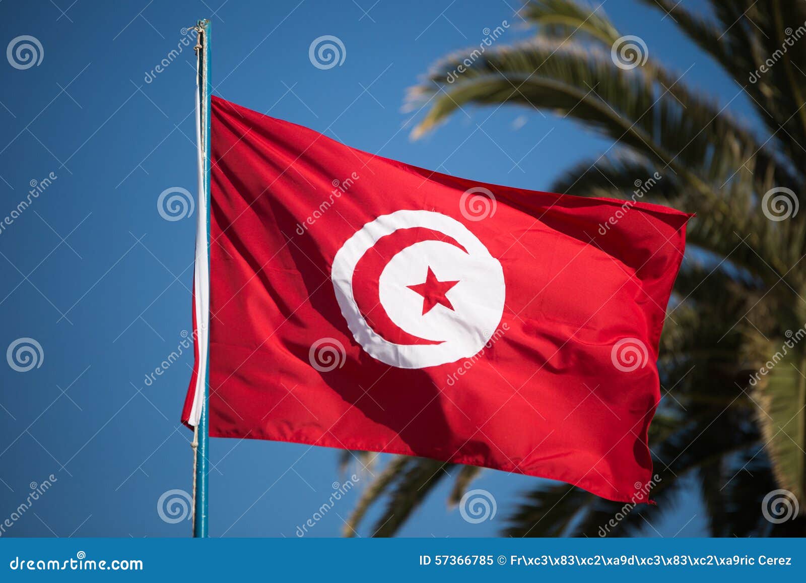 Tunisian Flag Royalty-Free Stock Image | CartoonDealer.com #65038