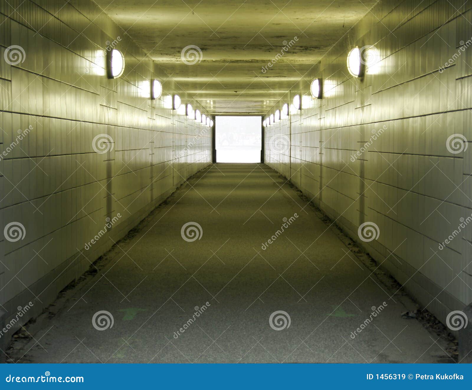 Tunnel stock image. Image of perspective, tiled, light - 1456319