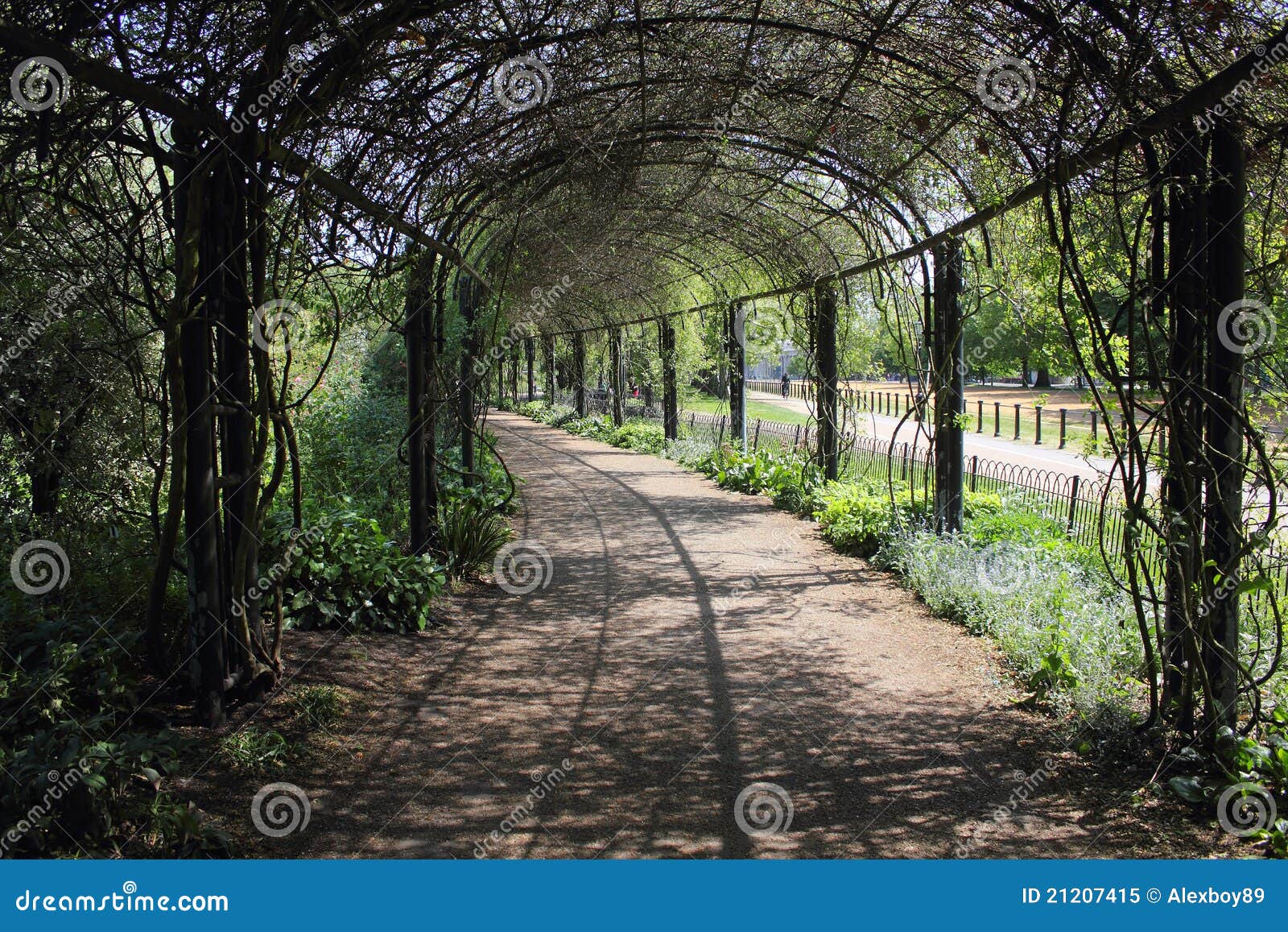 Tunnel stock image. Image of sunny, wonderful, walk, tunnel - 21207415