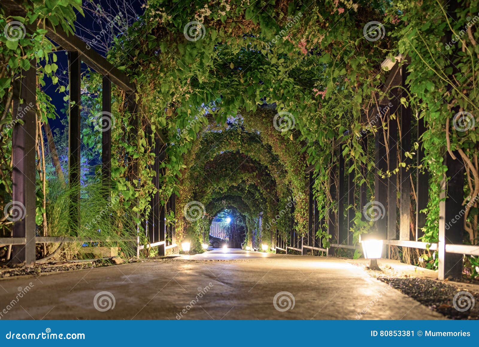 Arch Pathway Royalty-Free Stock Photography | CartoonDealer.com #40320317