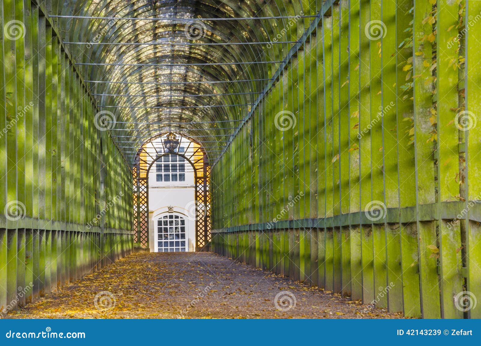 Tunnel garden in London stock image. Image of plant, outdoor - 42143239