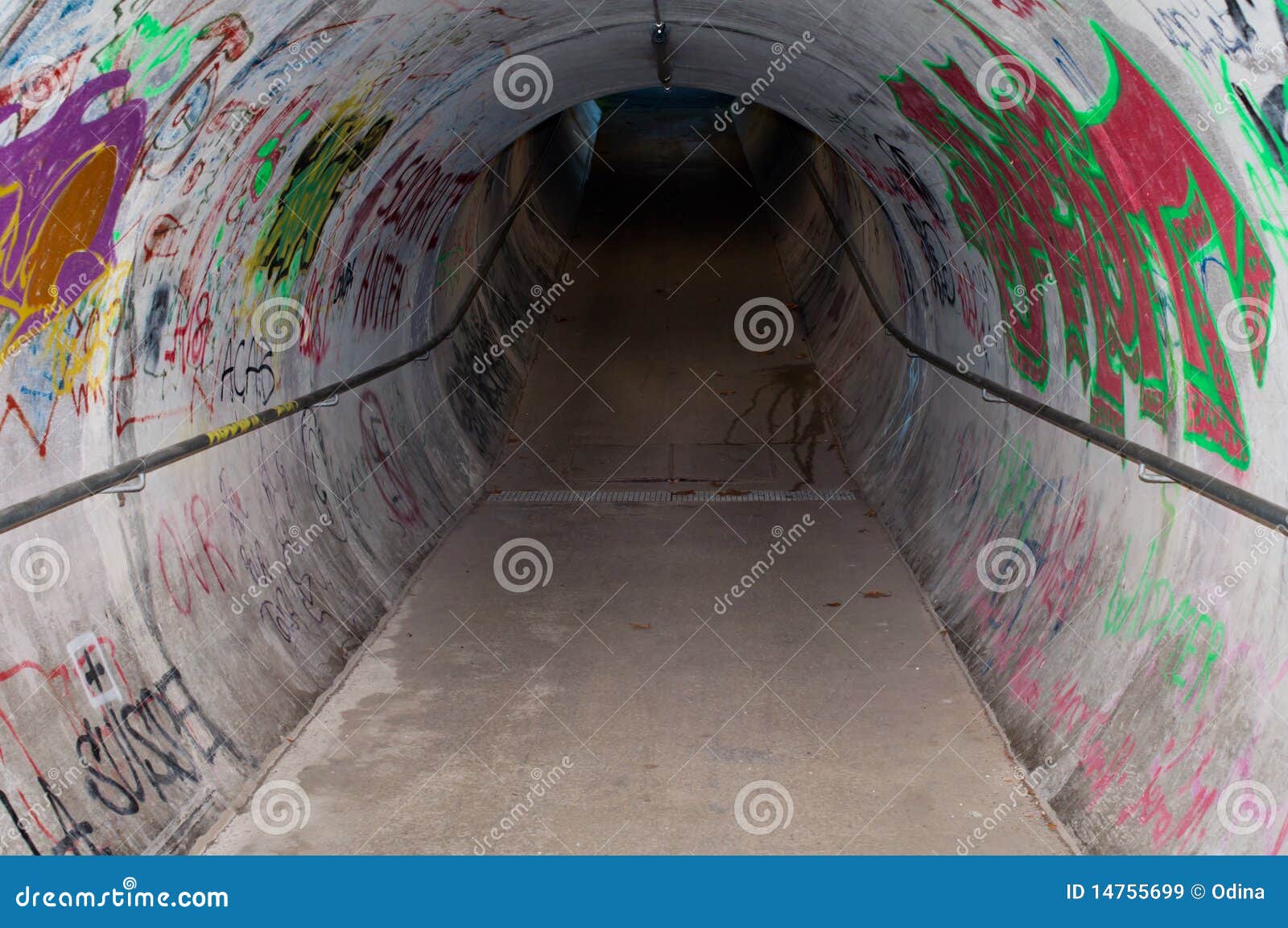 Tunnel with Graffiti stock image. Image of dangerous - 14755699