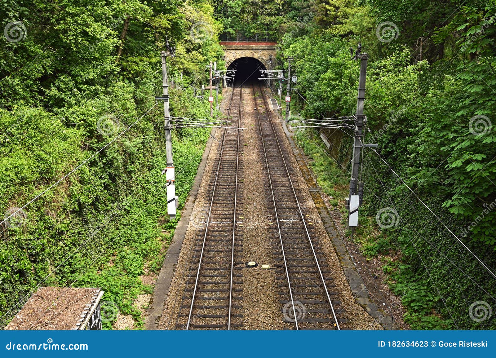 Tunnel and Railroad in the Woods Stock Image - Image of landmark ...