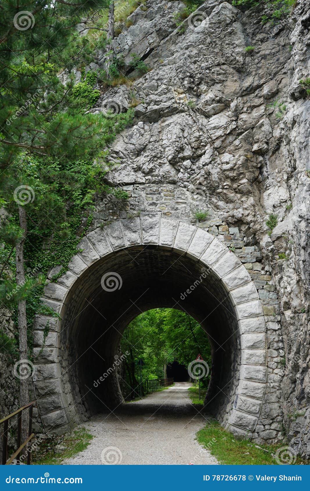 Tunnel in the rock stock photo. Image of road, tunnel - 78726678