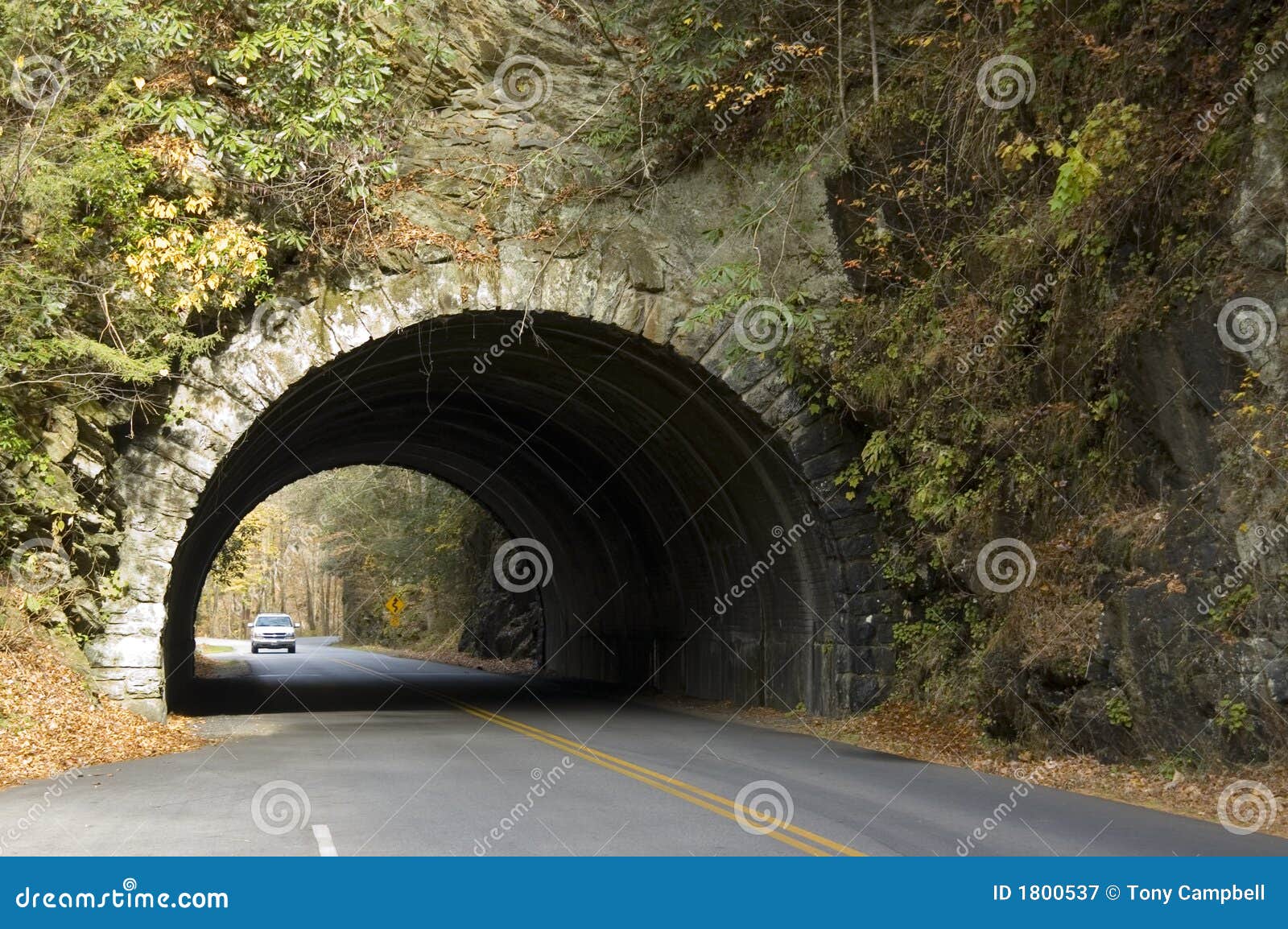 Tunnel in the Side of a Mountain Stock Image - Image of leaves ...