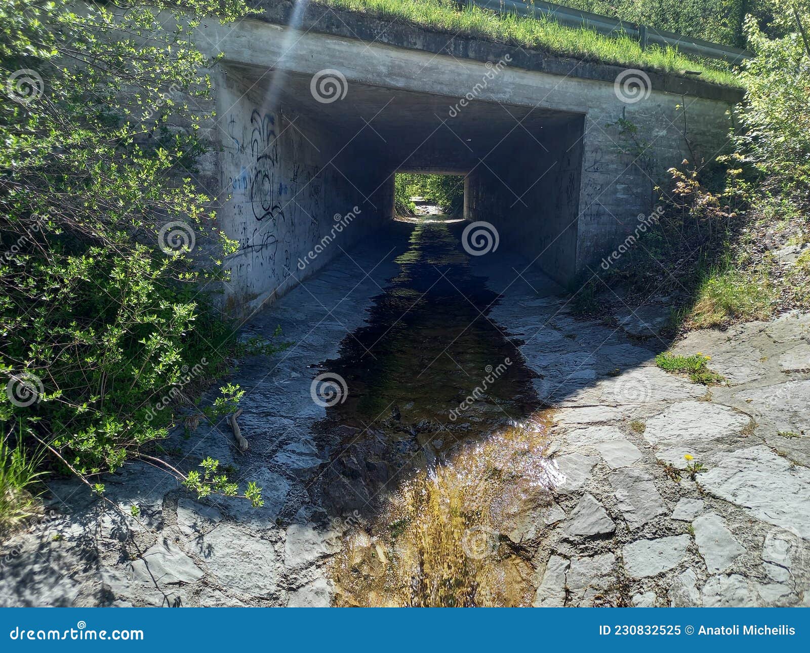 Tunnel under the road stock image. Image of stream, bridge - 230832525