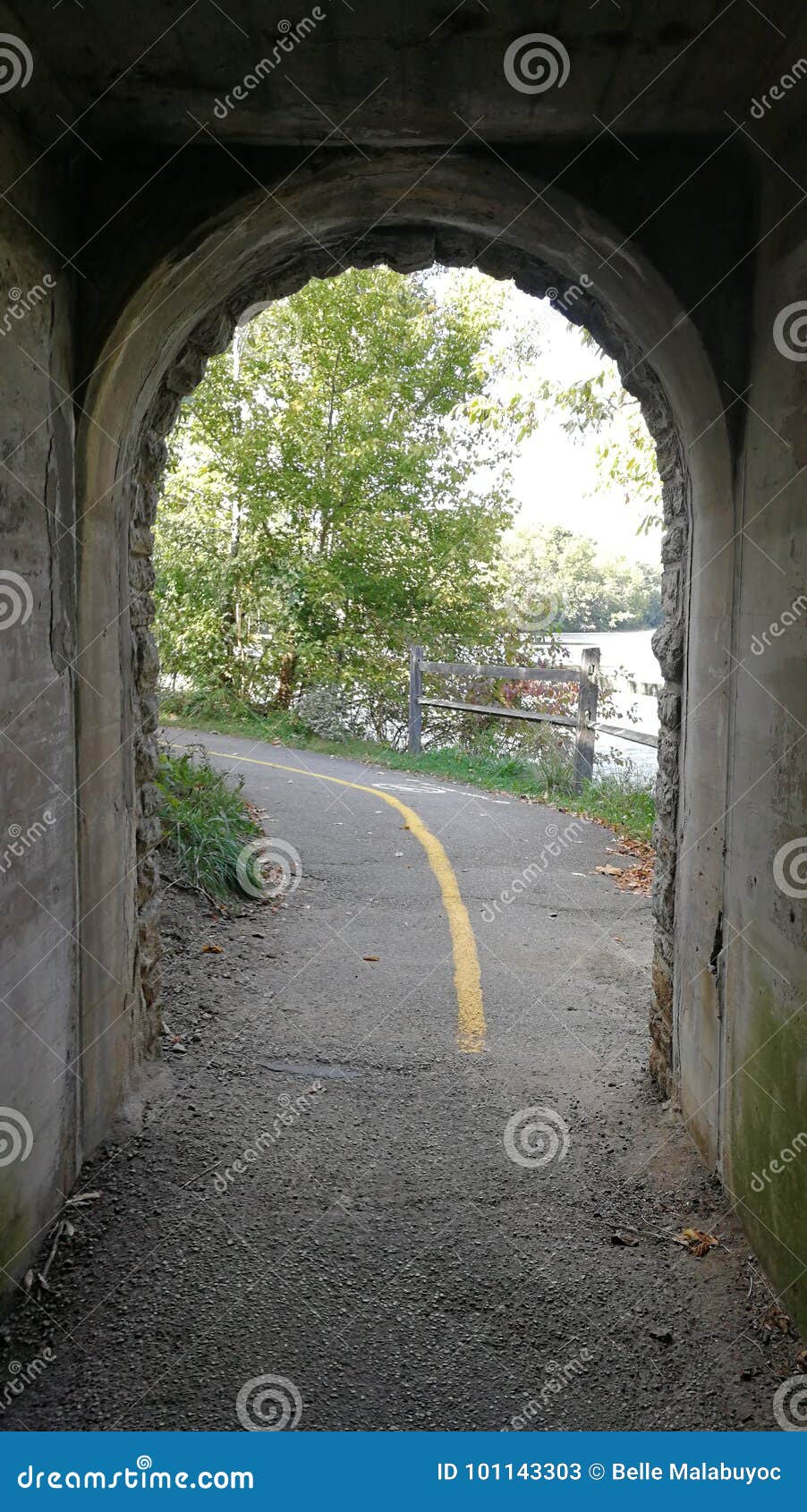 Tunnel vision stock image. Image of tunnel, park, vision - 101143303